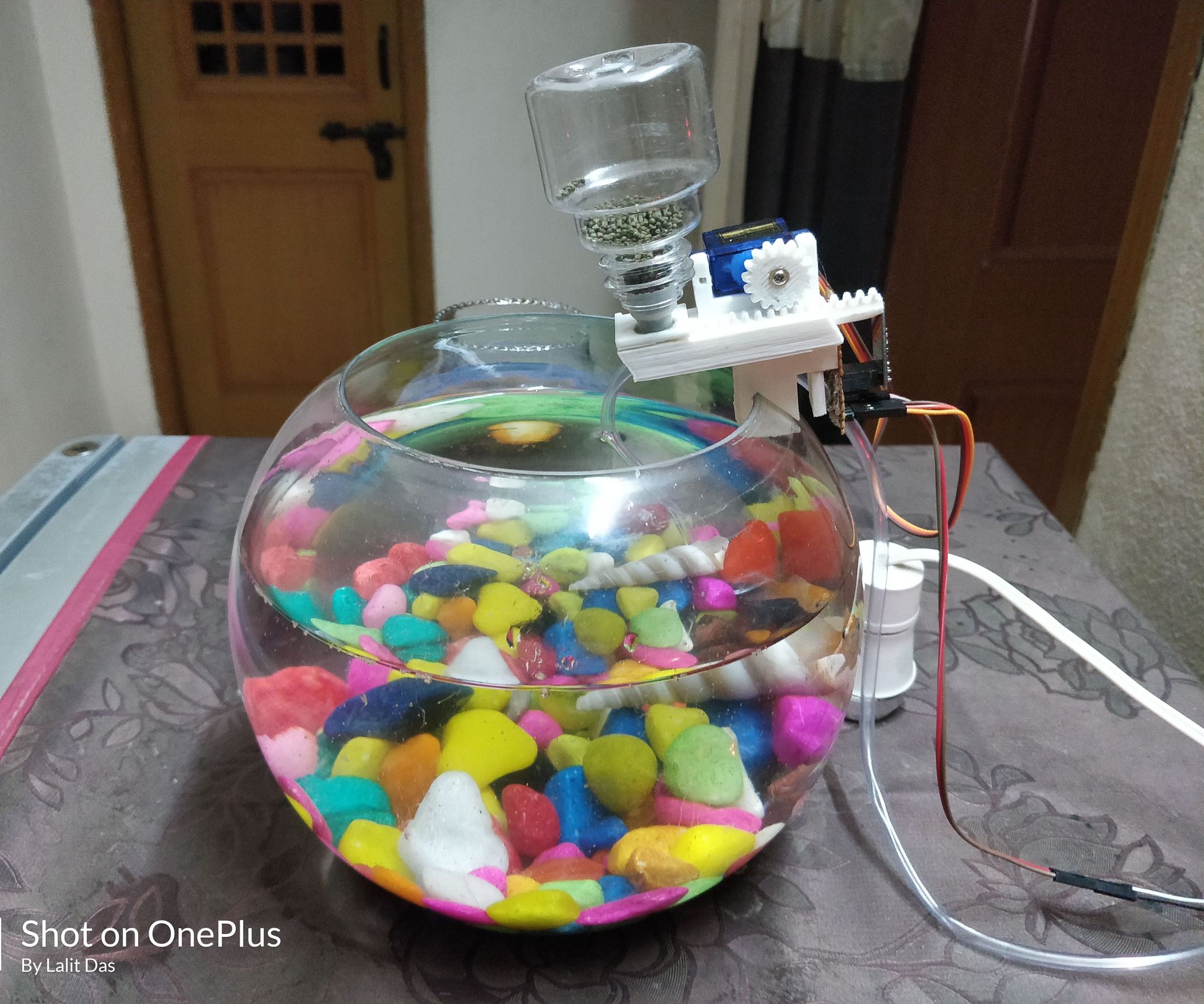 Beginner : Learn IOT With a Cool Fish Feeder : 9 Steps (with Pictures ...