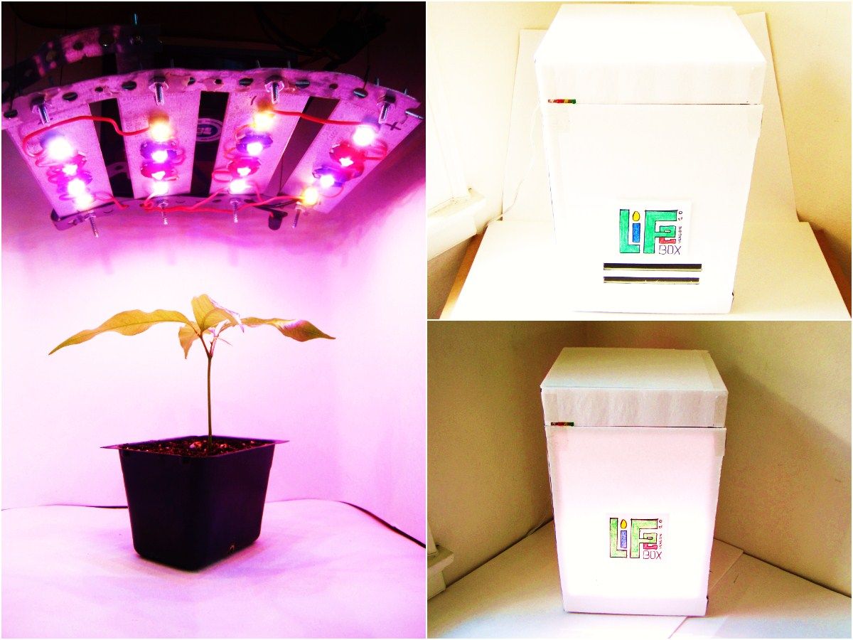 The Plant Box : 6 Steps - Instructables