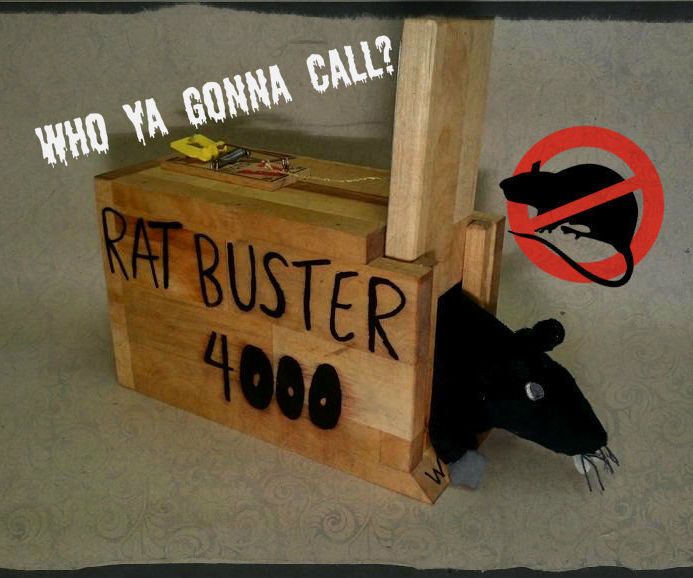 RATBUSTER 4000 : 5 Steps (with Pictures) - Instructables
