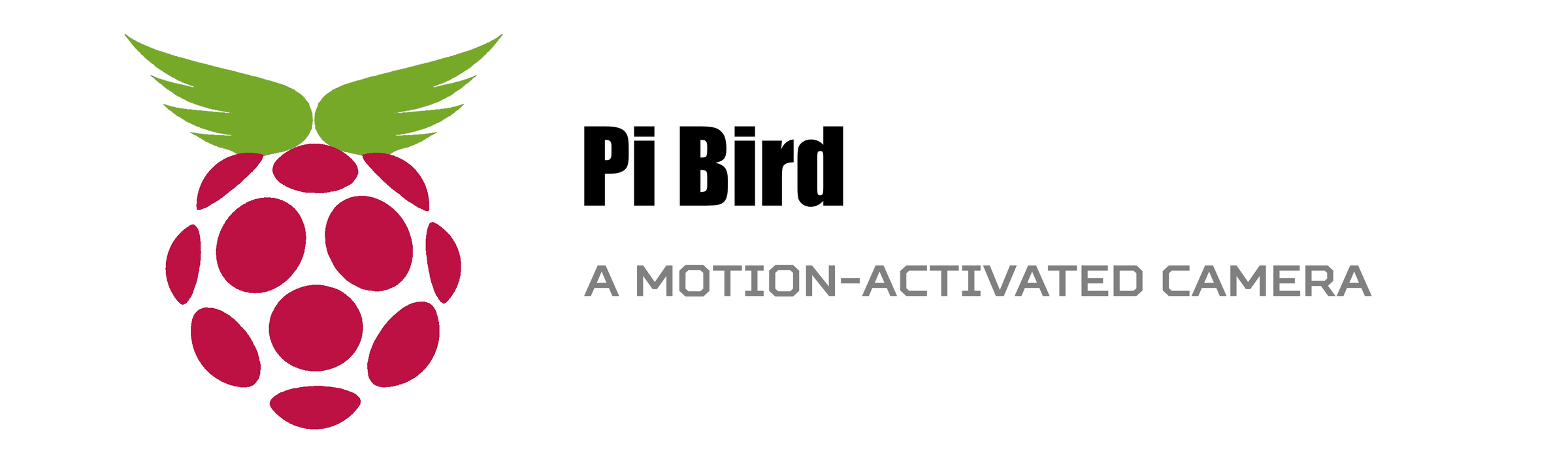 Pi Bird : 5 Steps - Instructables