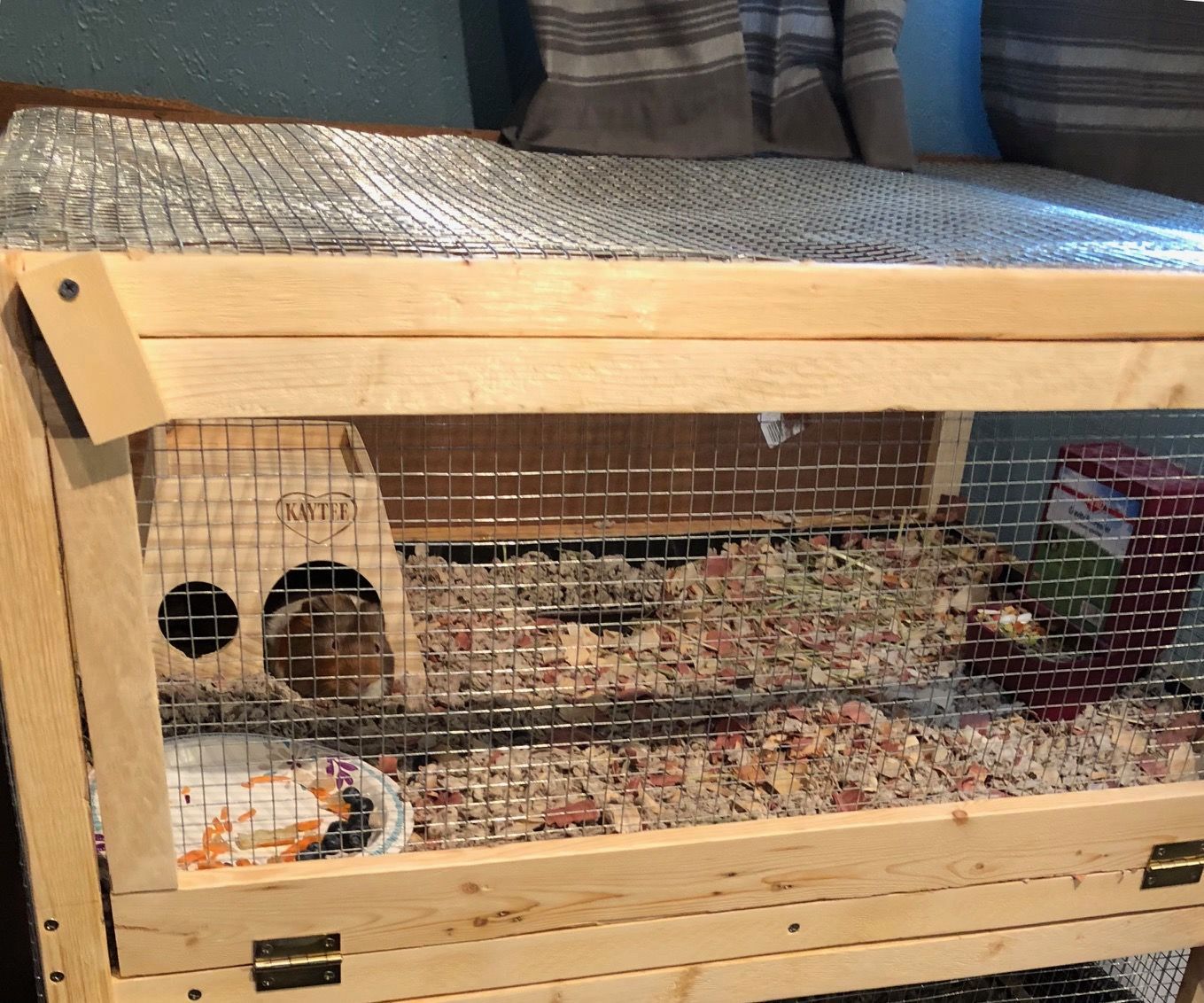 How to Make a Two Level Guinea Pig Cage : 9 Steps (with Pictures ...
