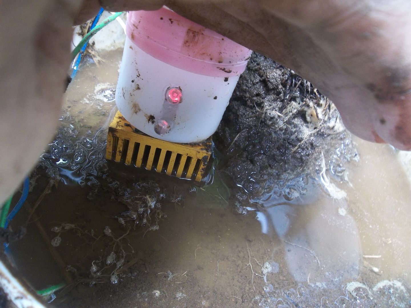 How to Make Bucket Gardening With Water Level Indicator : 7 Steps (with ...