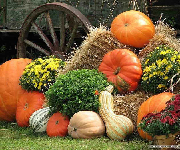 How to Create a Fall Outdoor Display : 10 Steps - Instructables