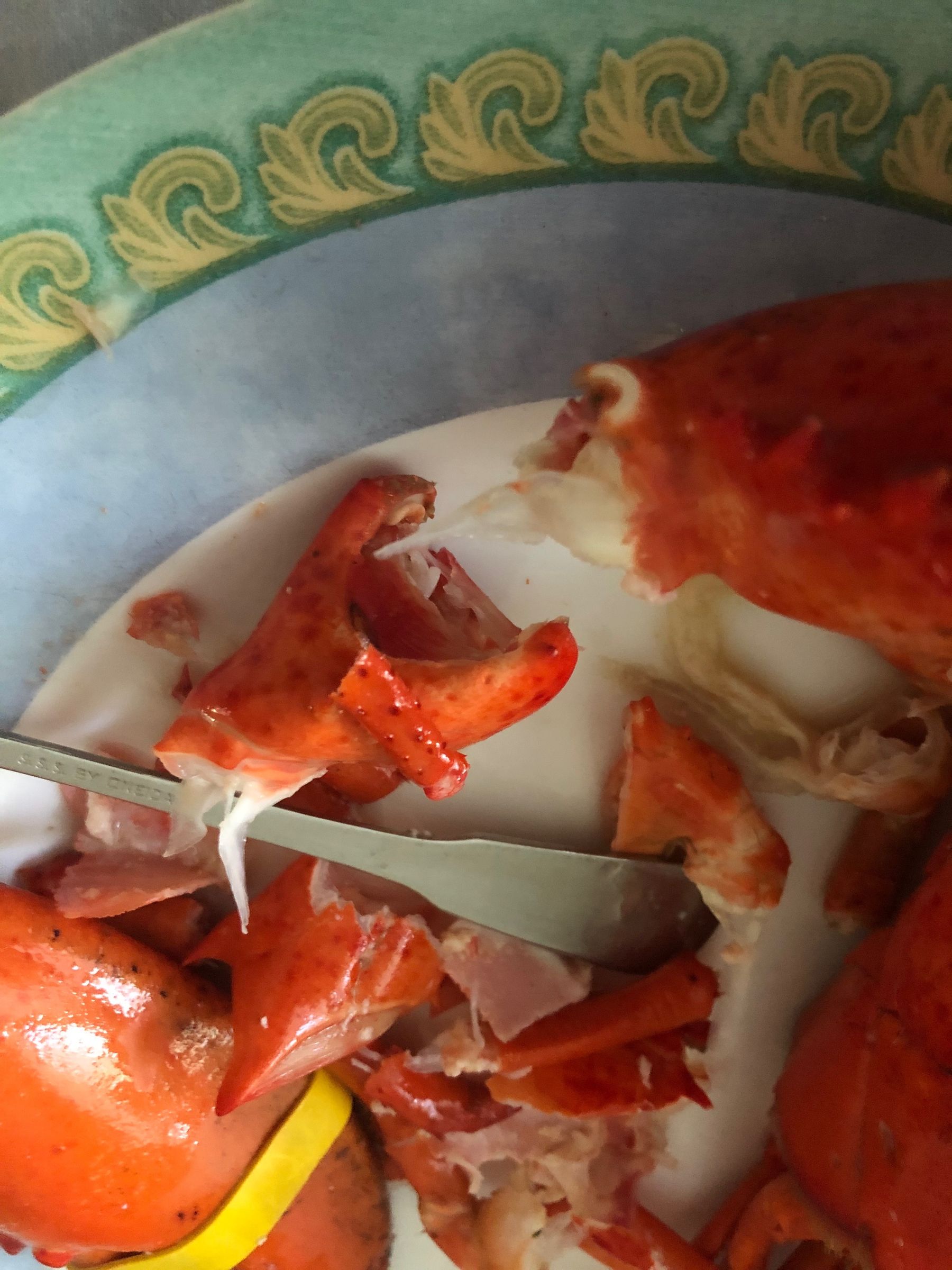 Lobster Dissection : 11 Steps - Instructables