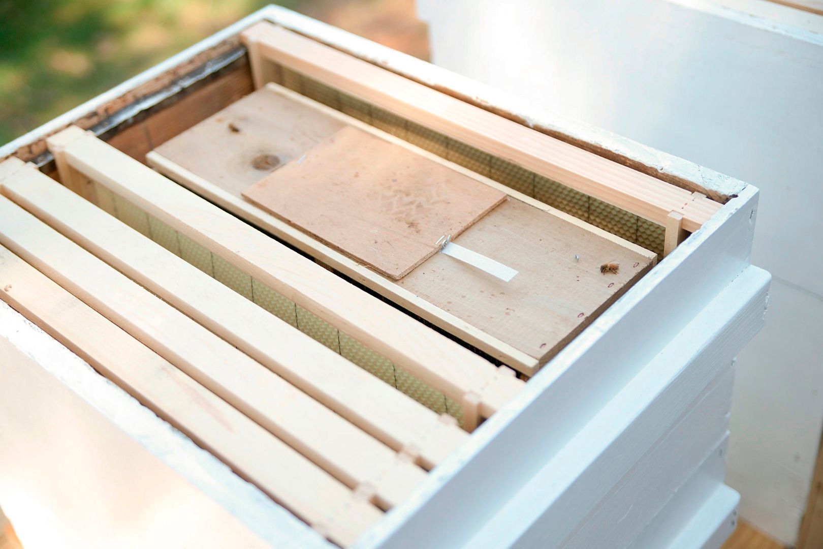 Start a Back Yard Honey Bee Hive : 10 Steps (with Pictures) - Instructables