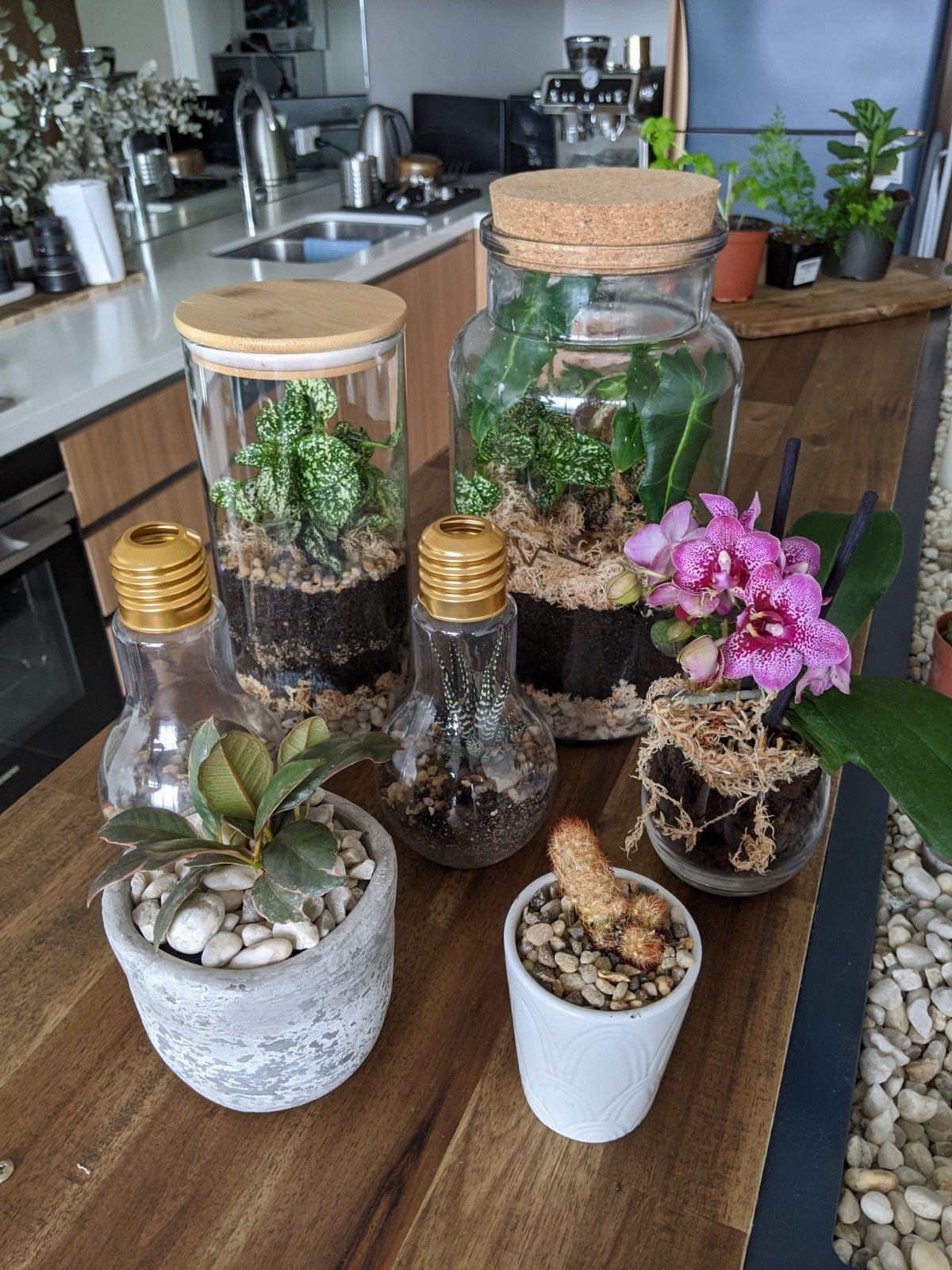 IoT-Terrarium : 6 Steps (with Pictures) - Instructables