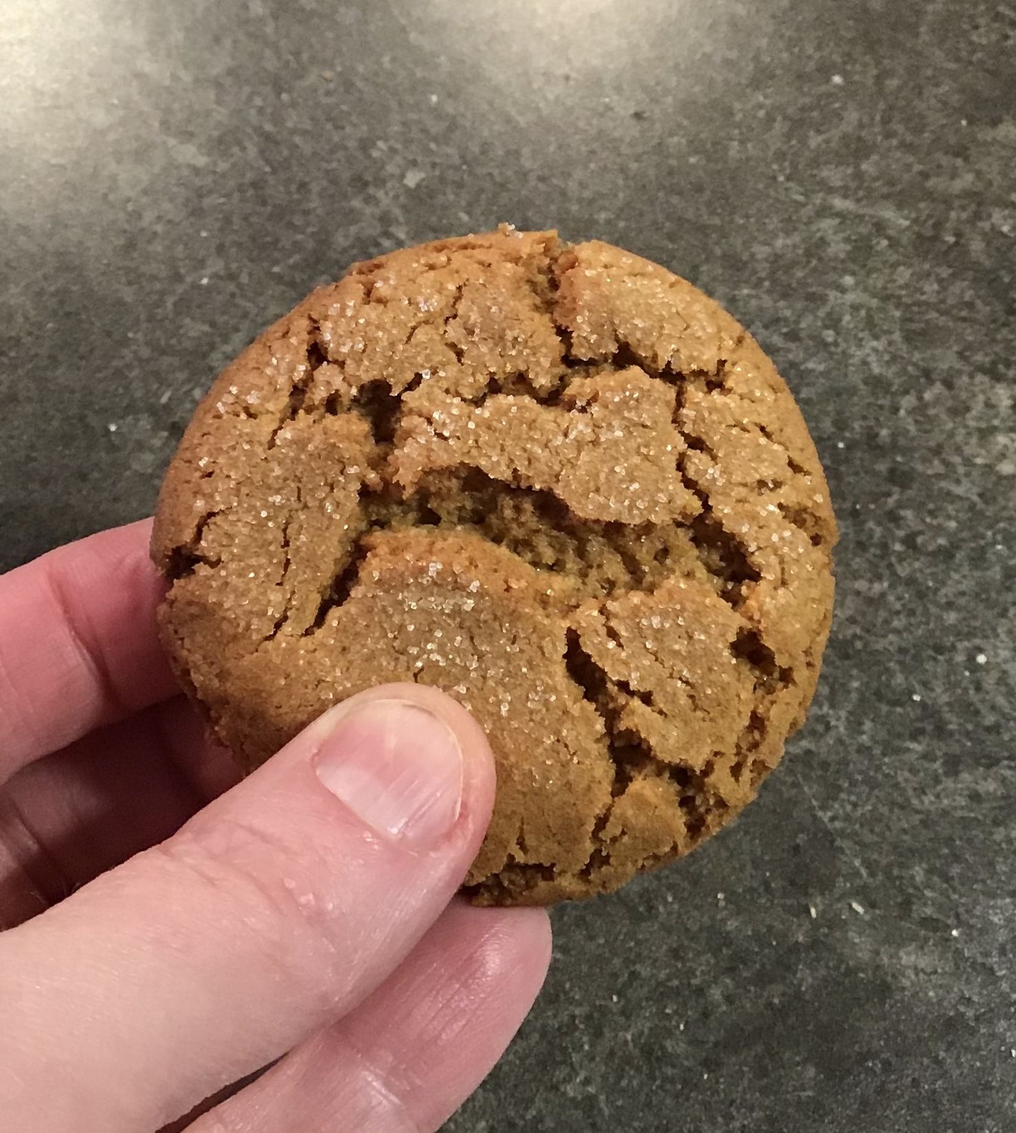 Ginger Snaps. : 5 Steps (with Pictures) - Instructables