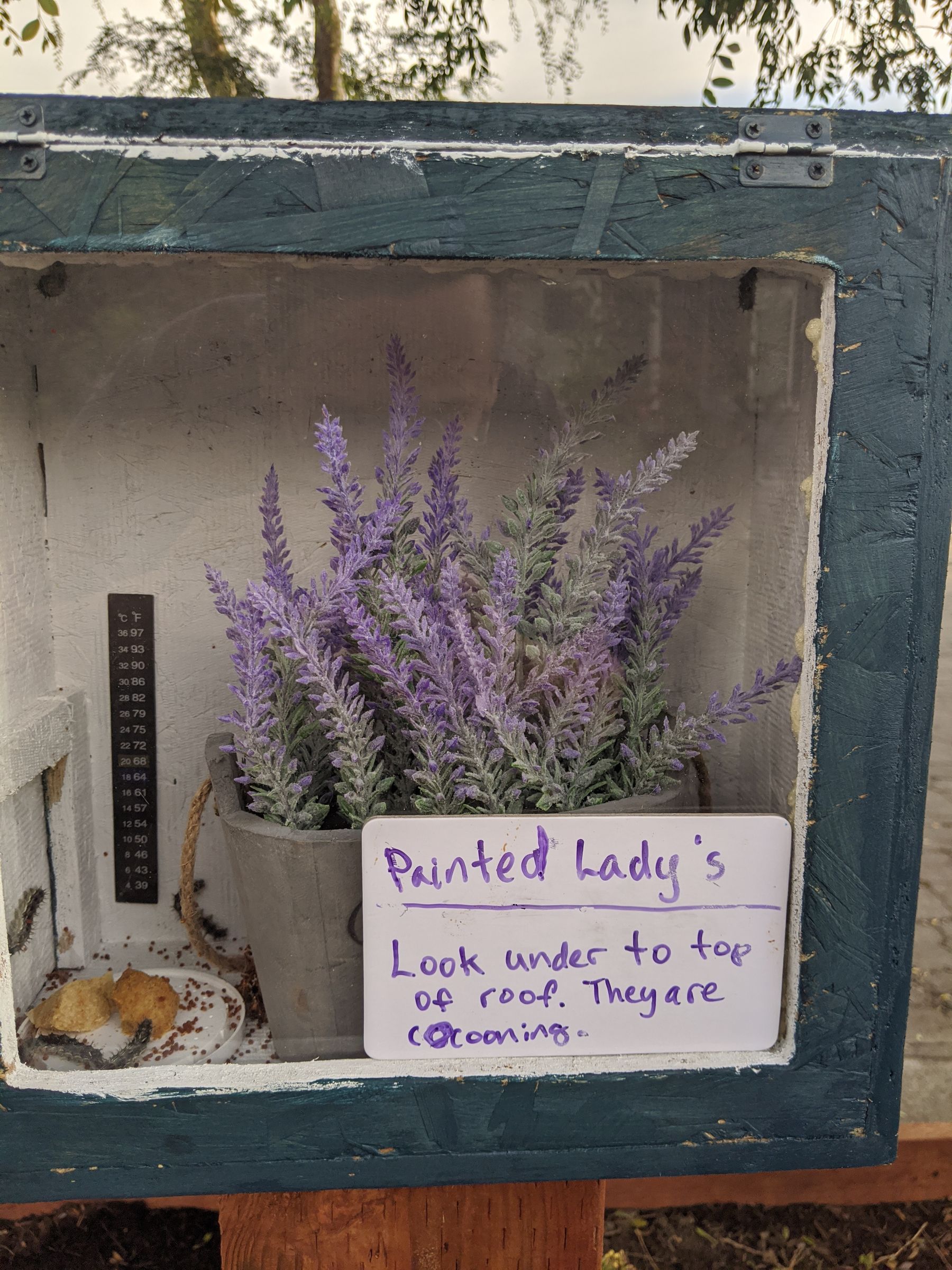 Butterfly Garden Boxes : 5 Steps (with Pictures) - Instructables