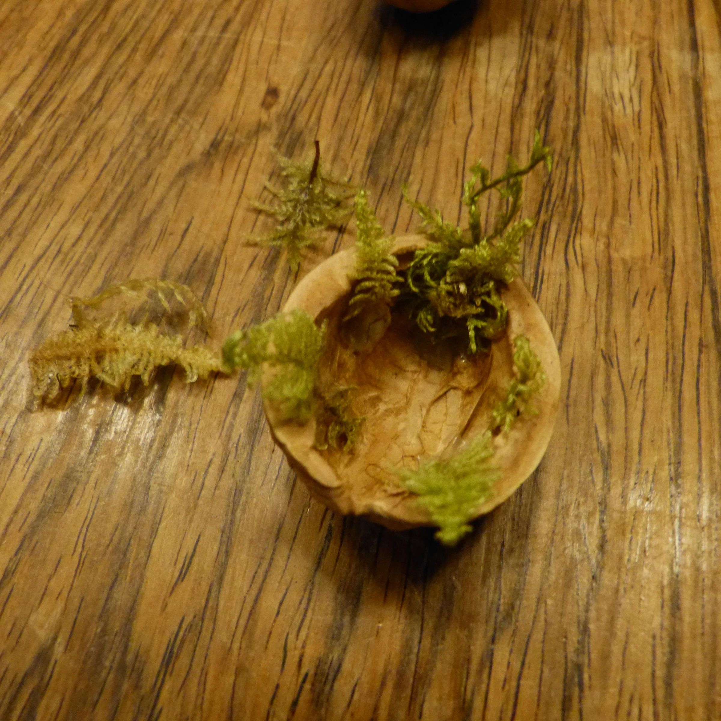 Houseplant Treehouse & Tiny Mouse : 15 Steps (with Pictures ...