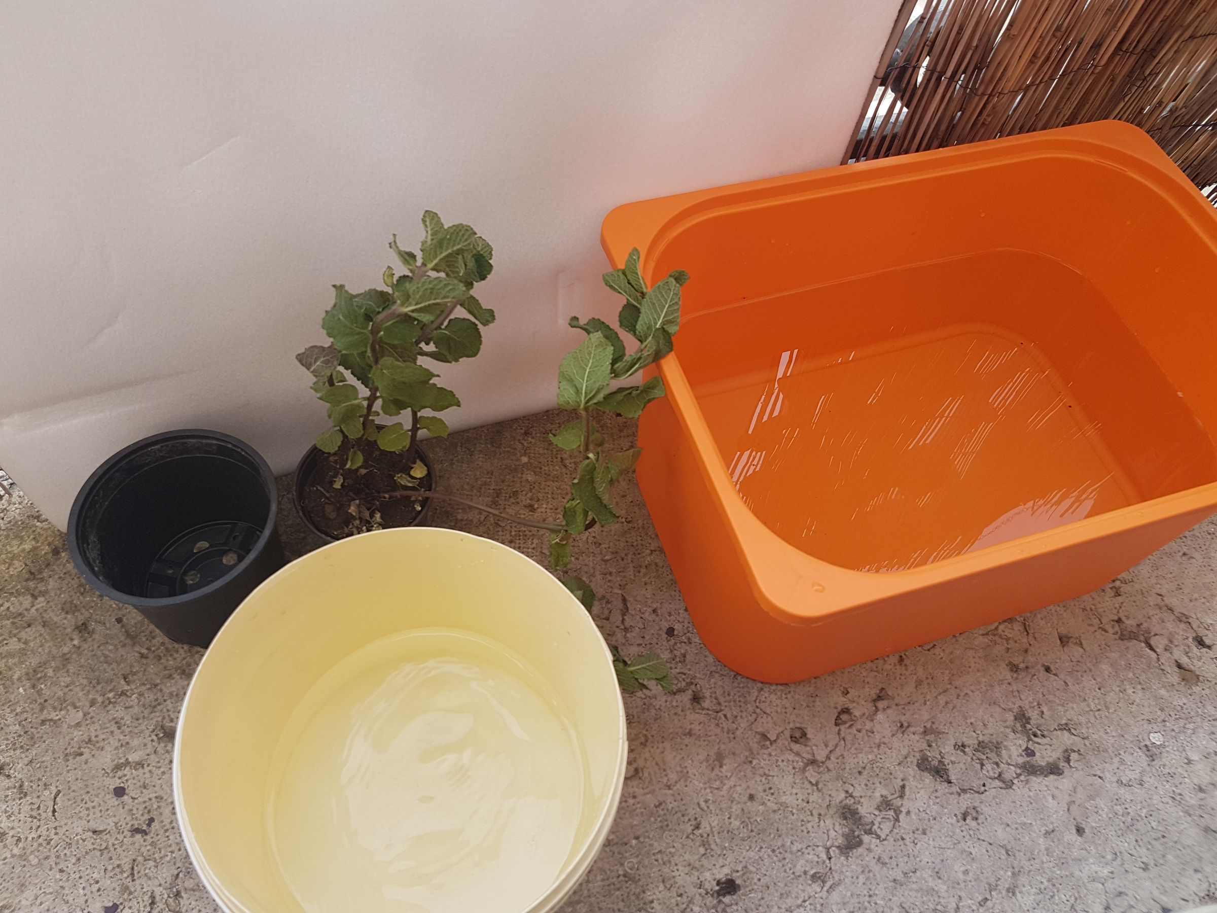 First Timer Hydroponics: the Raft System : 8 Steps (with Pictures ...