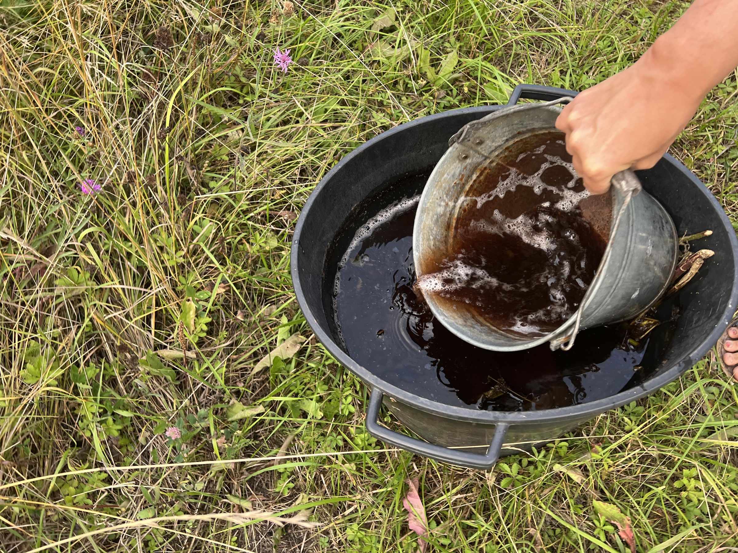 How to Turn Stinging Nettles Into Fertilizer : 6 Steps (with Pictures ...