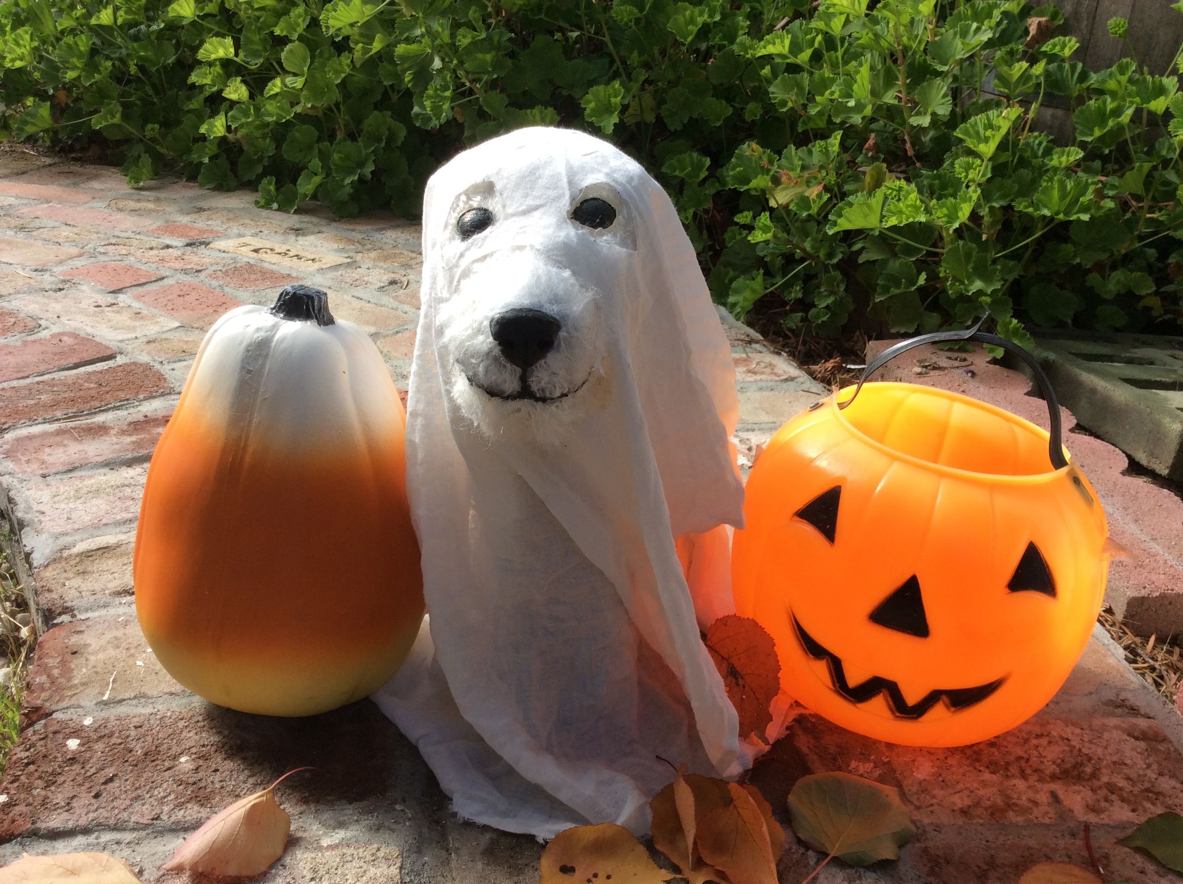 Boo the Ghost Dog Halloween Decoration : 13 Steps (with Pictures ...
