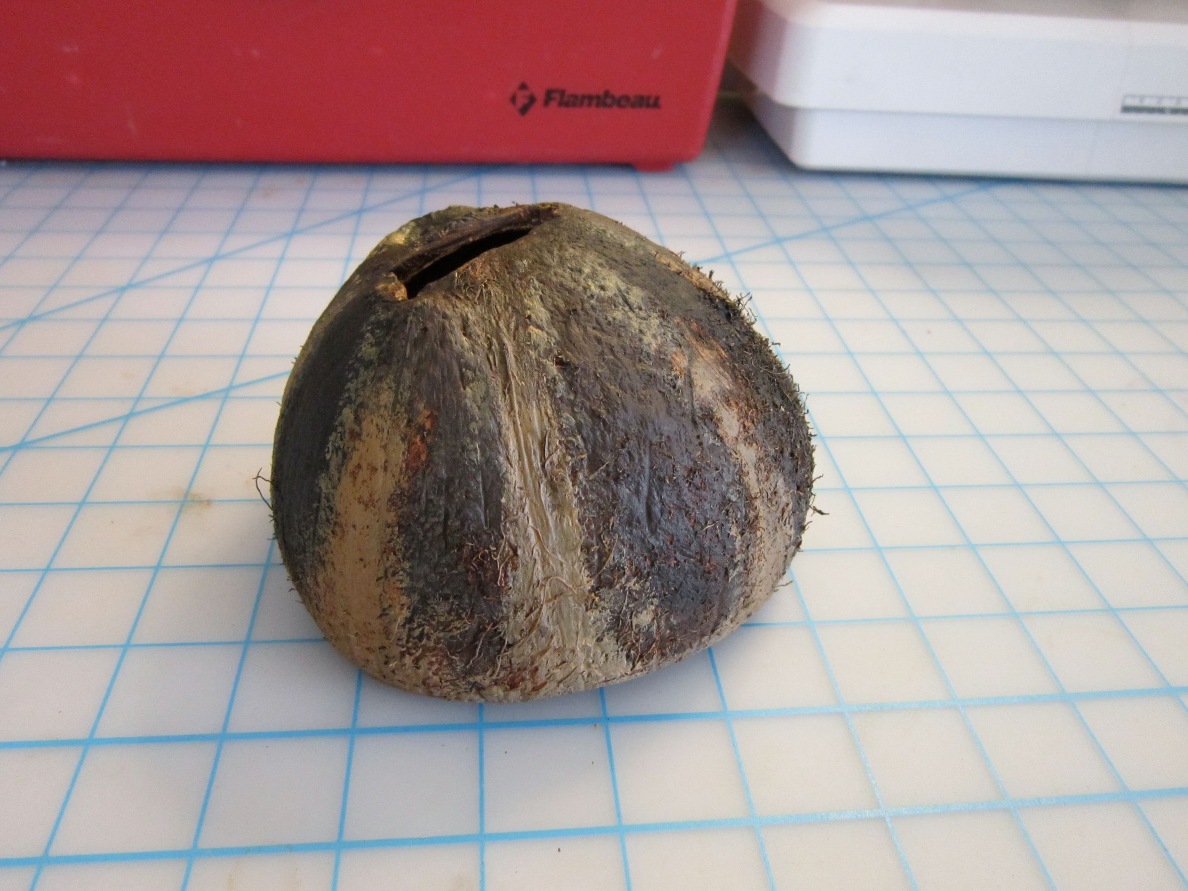 RUFIO COSTUME : 8 Steps (with Pictures) - Instructables