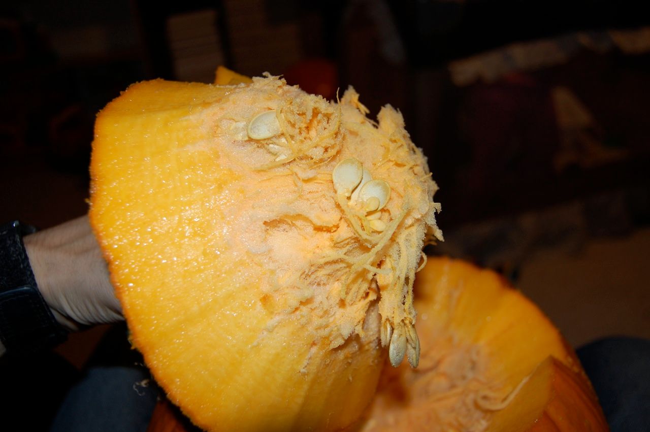 Precision Pumpkin Carving : 9 Steps (with Pictures) - Instructables