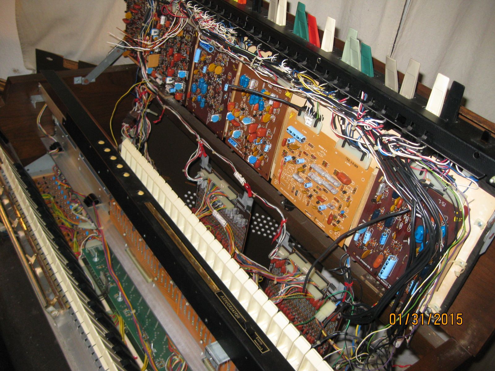 The Organ Donor Project- the Dissection : 5 Steps - Instructables