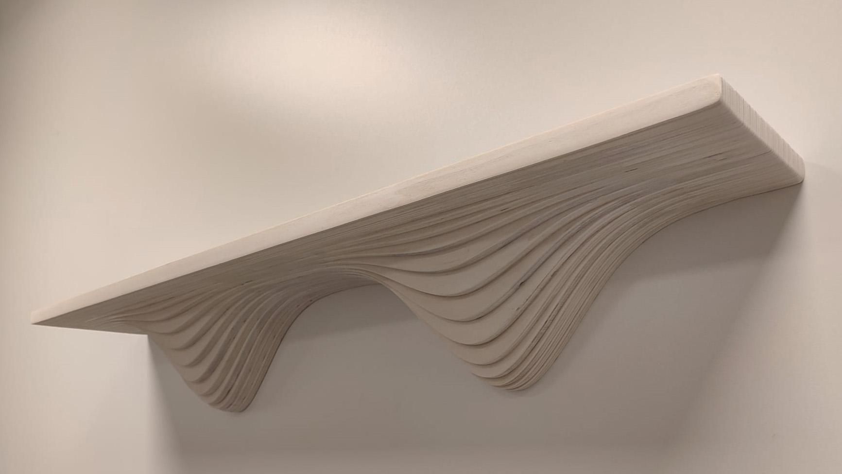 Dual Wave Bookshelf : 7 Steps (with Pictures) - Instructables