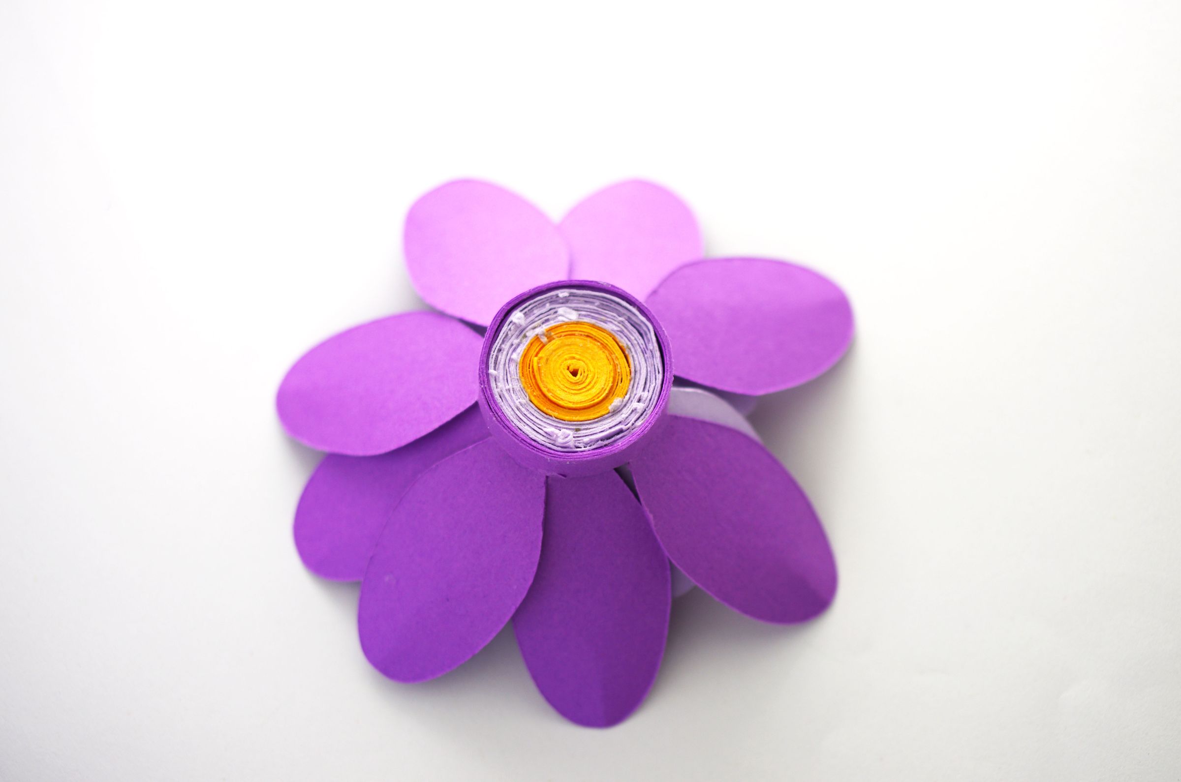 Quilling Flowers : 7 Steps (with Pictures) - Instructables