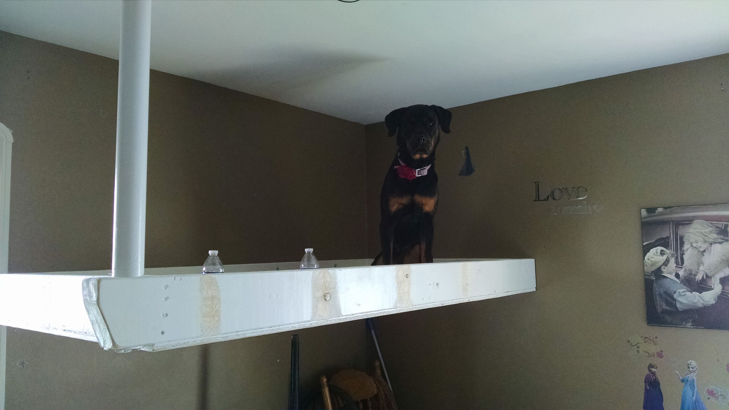 Floating Loft Bed : 11 Steps (with Pictures) - Instructables