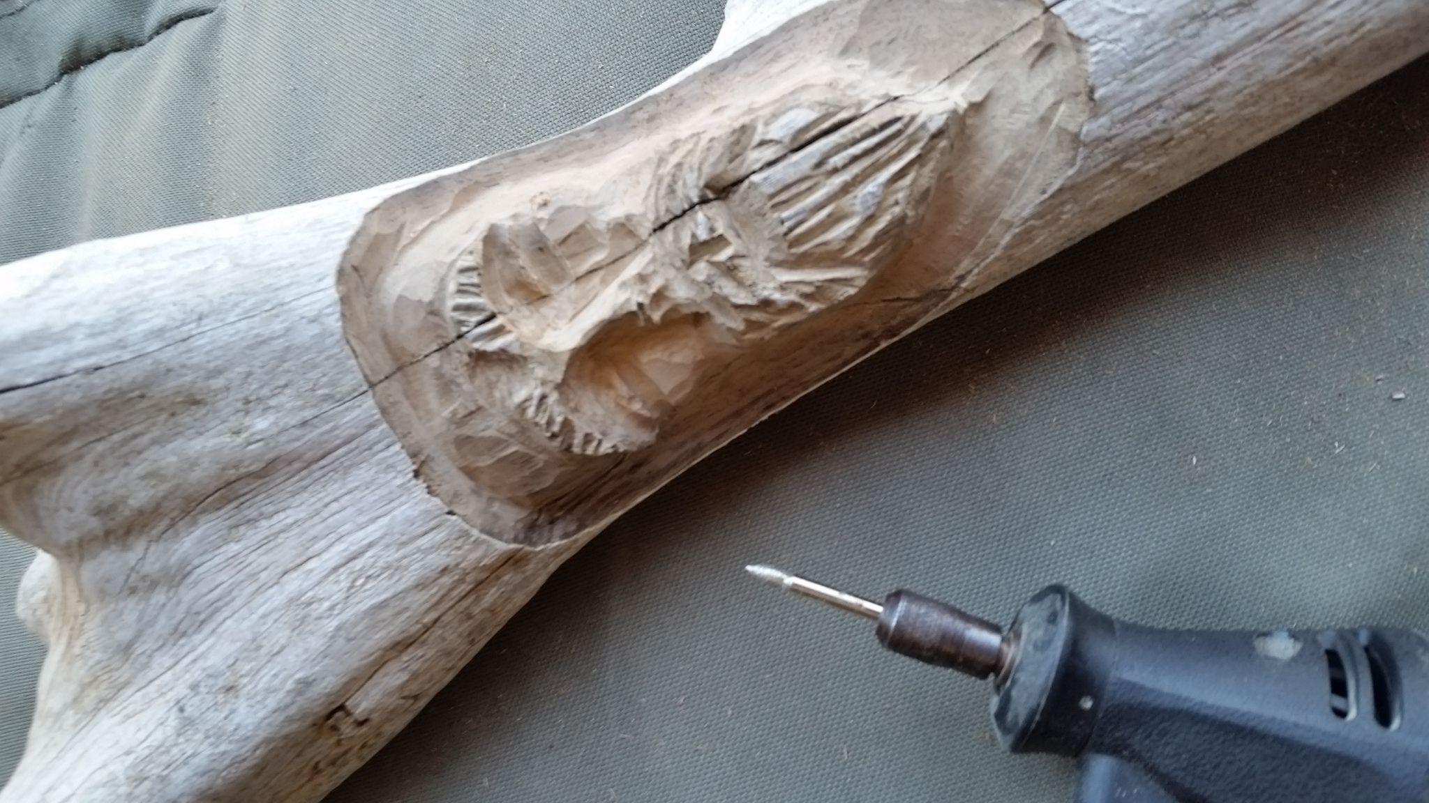 Driftwood Spirit Power Carving : 9 Steps - Instructables