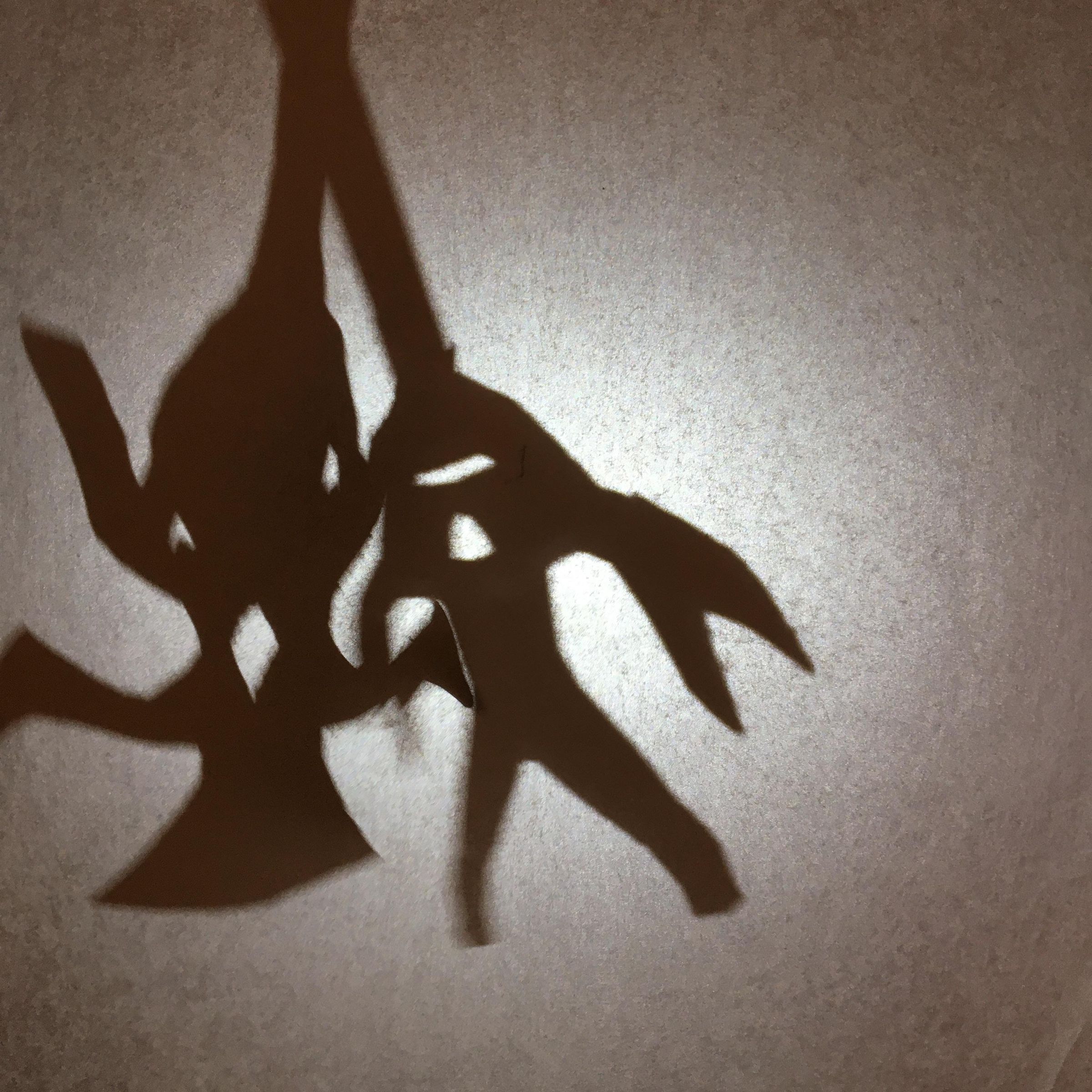 Shadow Stage : 8 Steps (with Pictures) - Instructables
