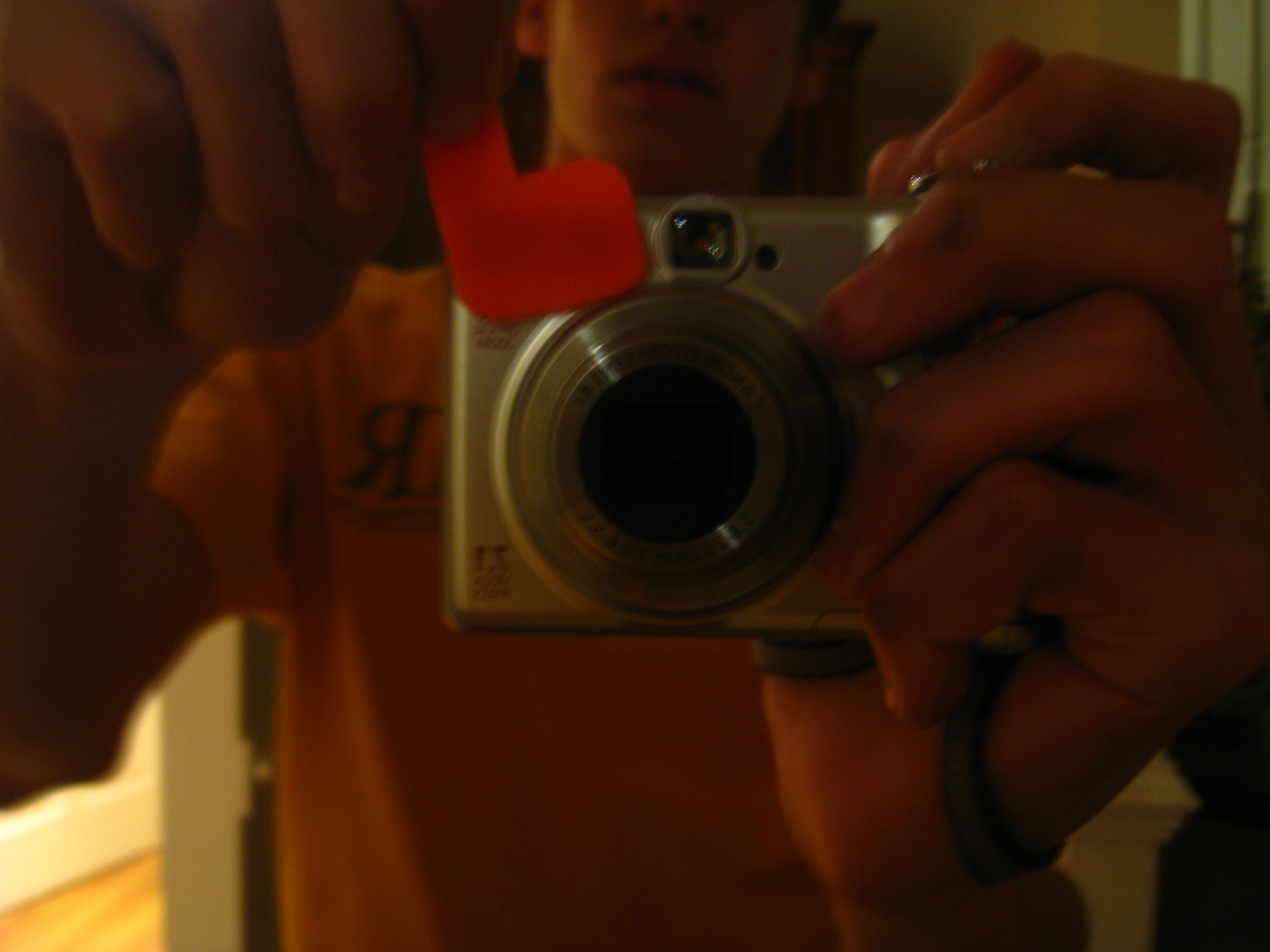 Create No-edit Pop-art Style Pictures Using a Frisbee : 4 Steps ...