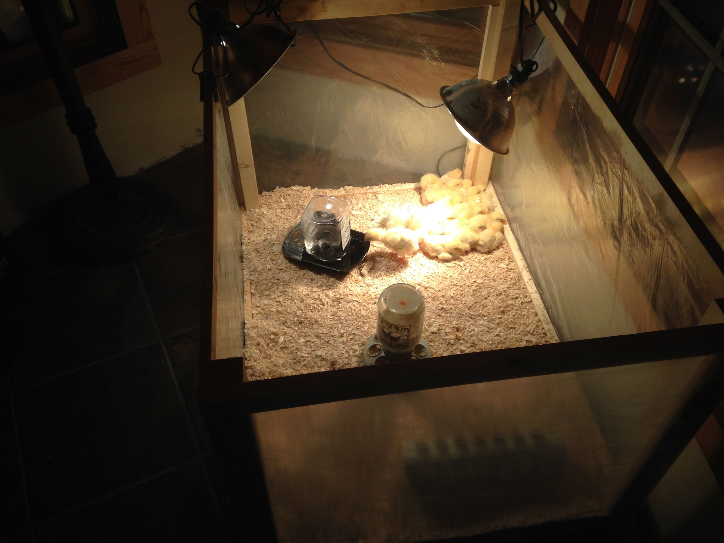 Easy and Cheap Chick Brooder : 3 Steps - Instructables