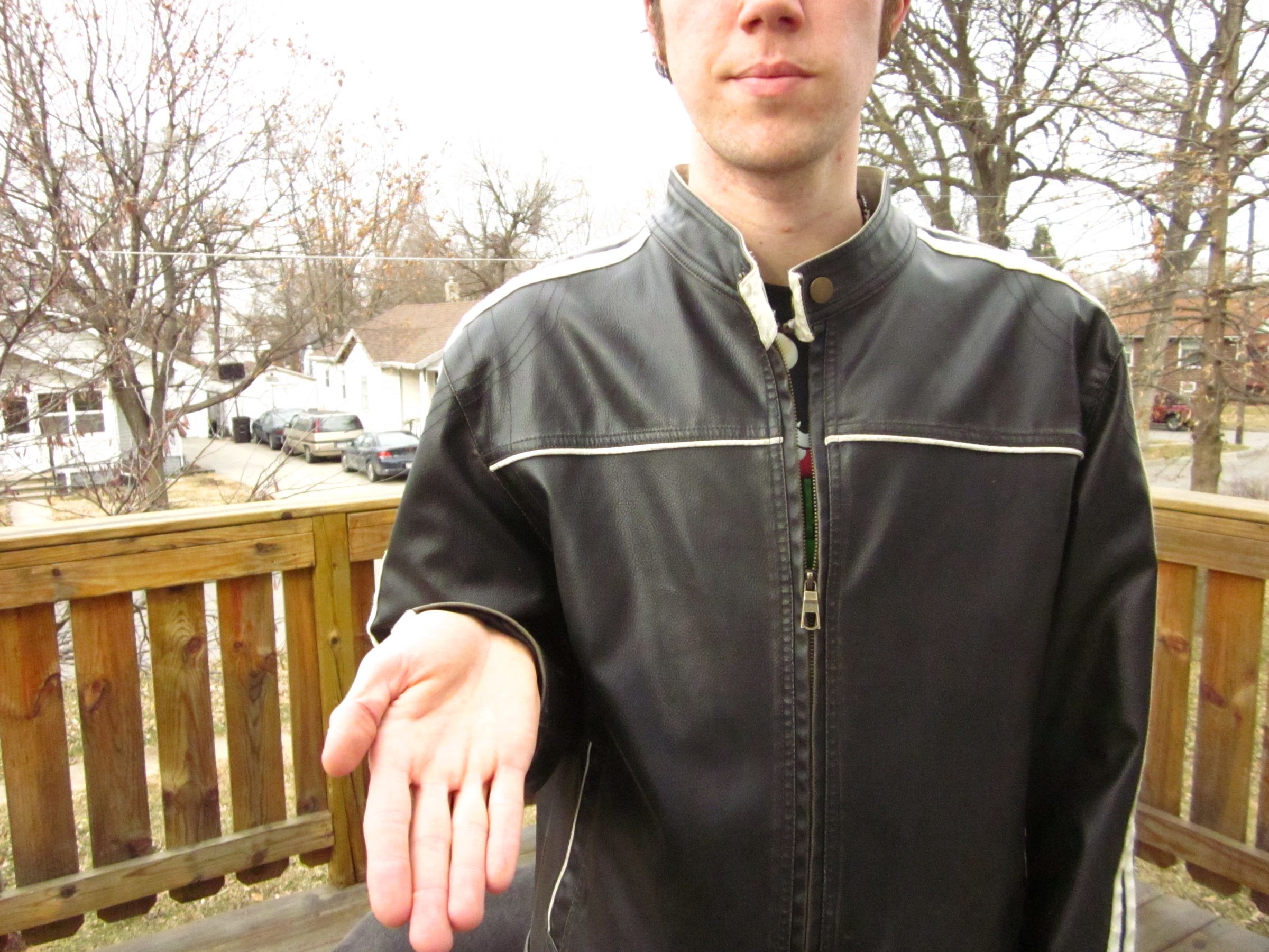 Basic Obedience Training for Dogs : 6 Steps (with Pictures) - Instructables