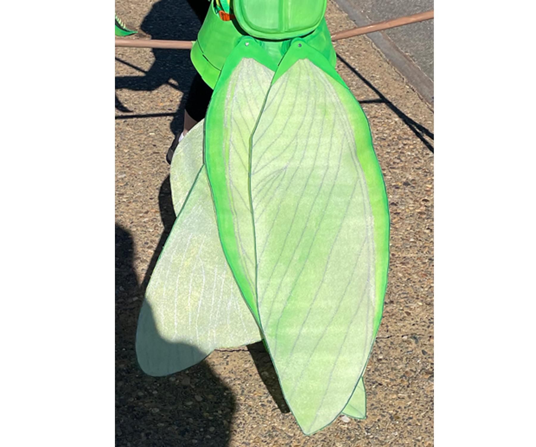 Praying Mantis Costume : 15 Steps (with Pictures) - Instructables