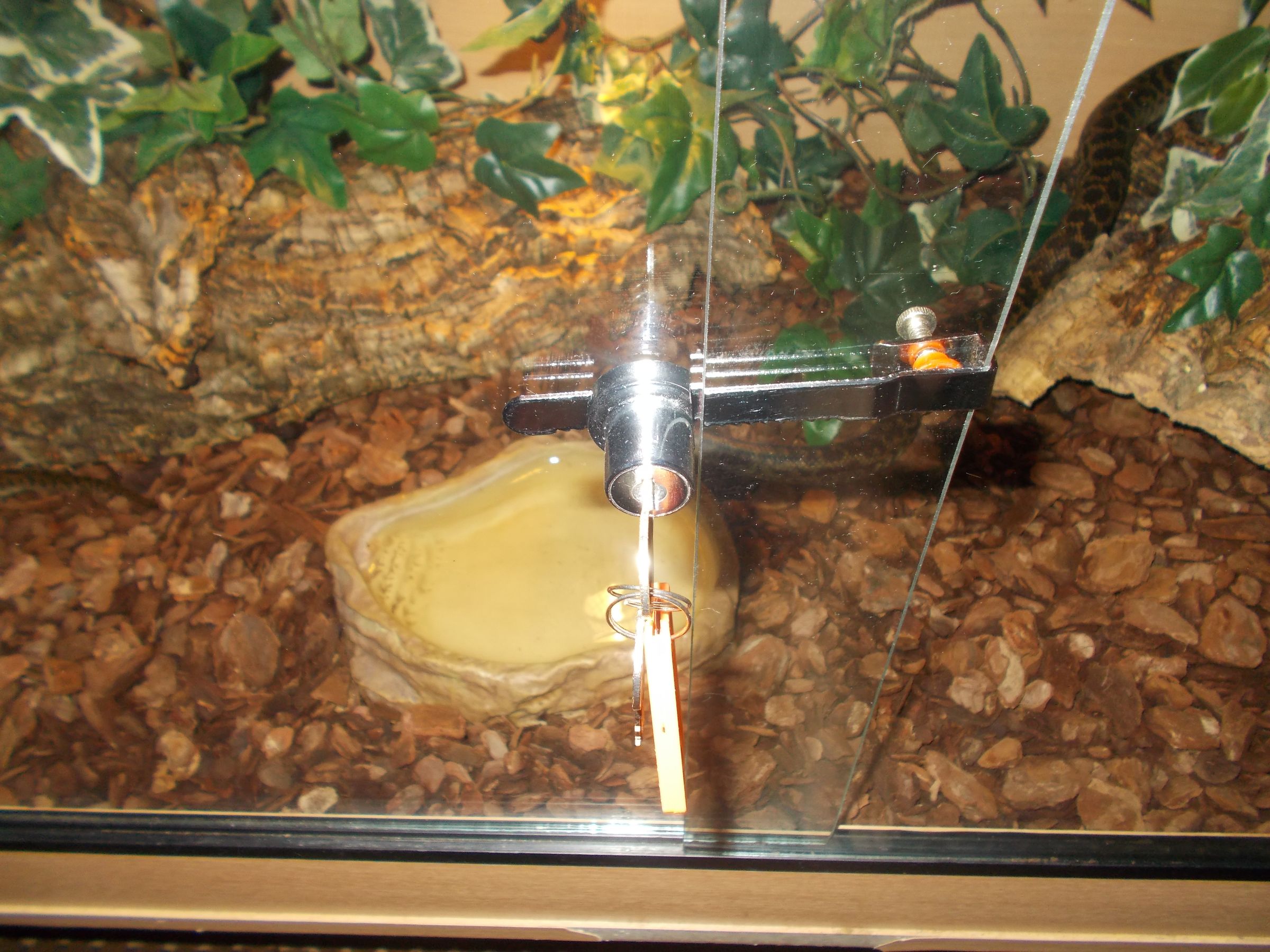 How to Setup a Snake Viv : 13 Steps - Instructables