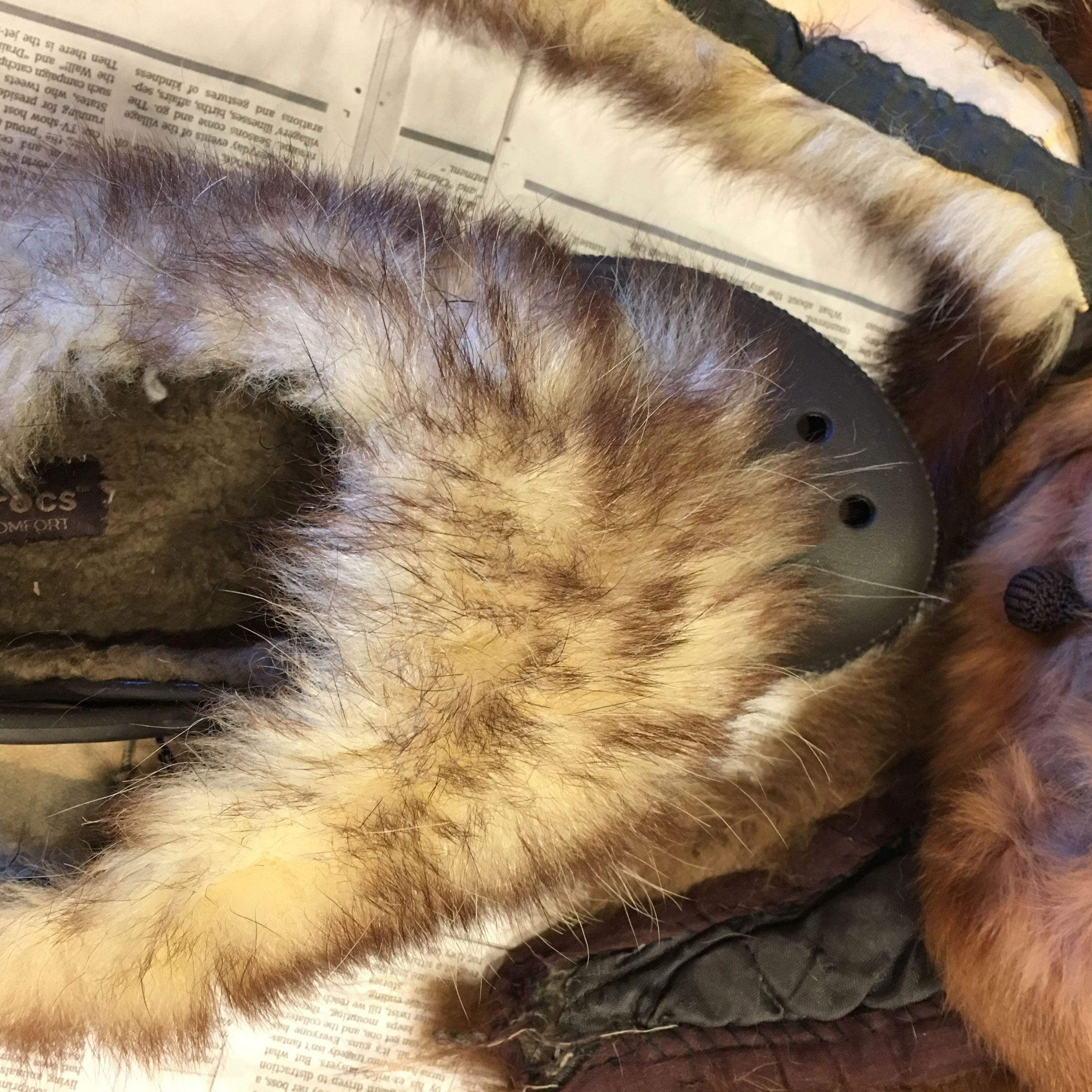 Fur Lined Crocs : 8 Steps (with Pictures) - Instructables