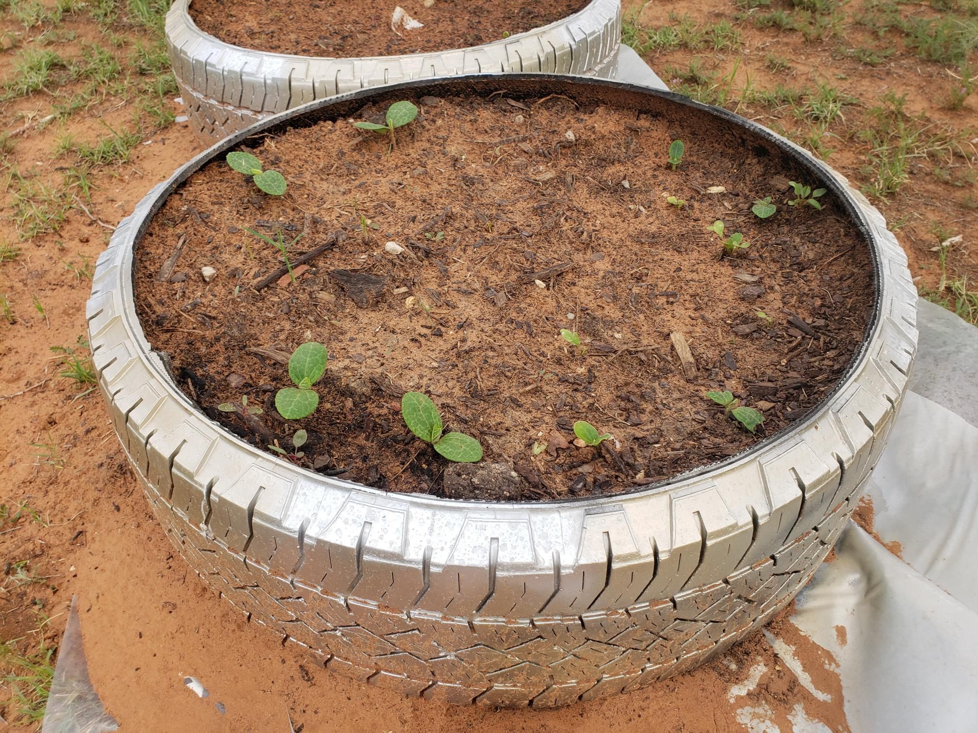 Vehicle Tire Garden : 5 Steps - Instructables