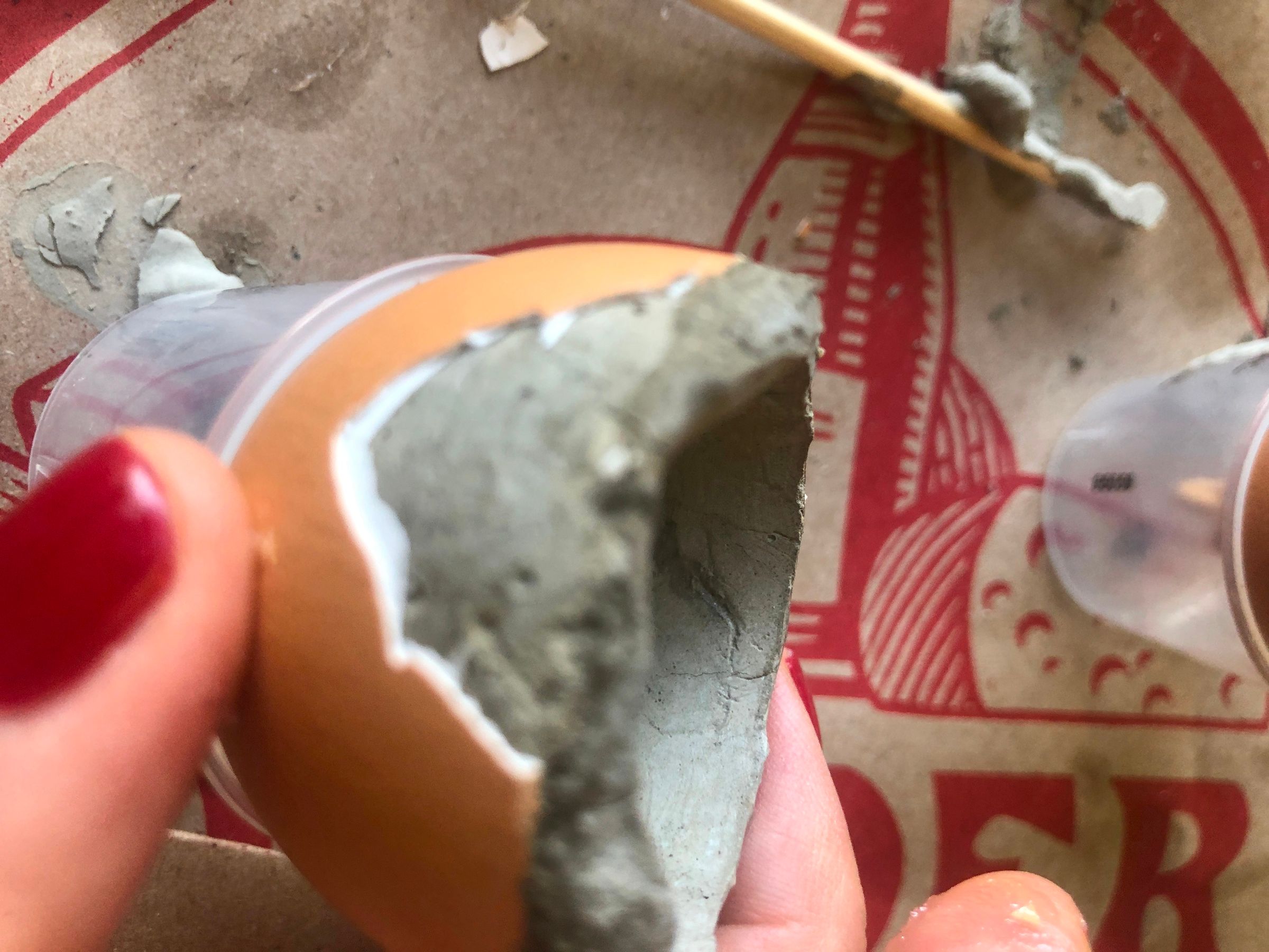 Make a Micro Eggshell Planter Out of Cement for Tiny Succulent Plants ...