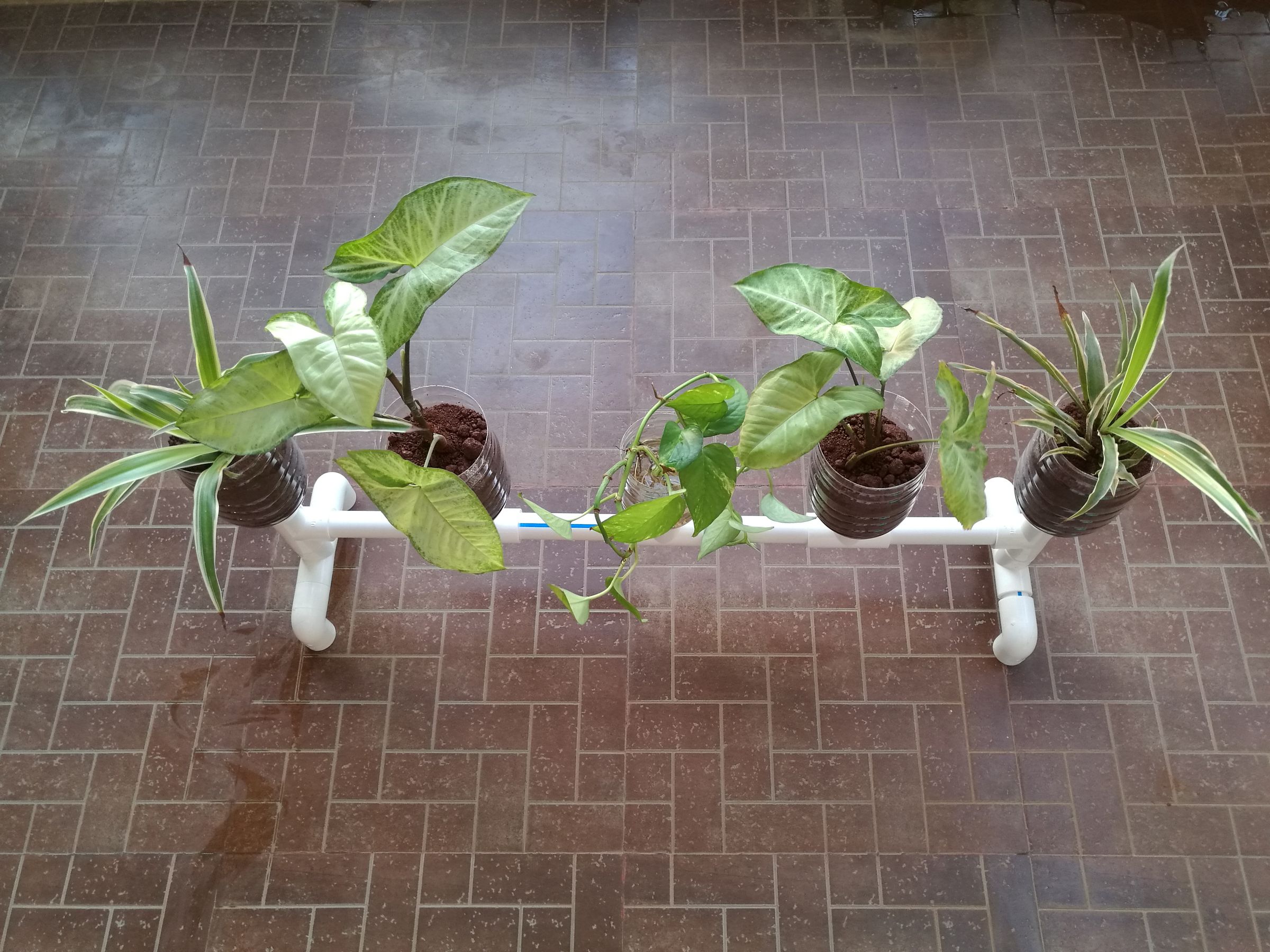 Make a Planter With Self Watering Stand : 7 Steps (with Pictures ...