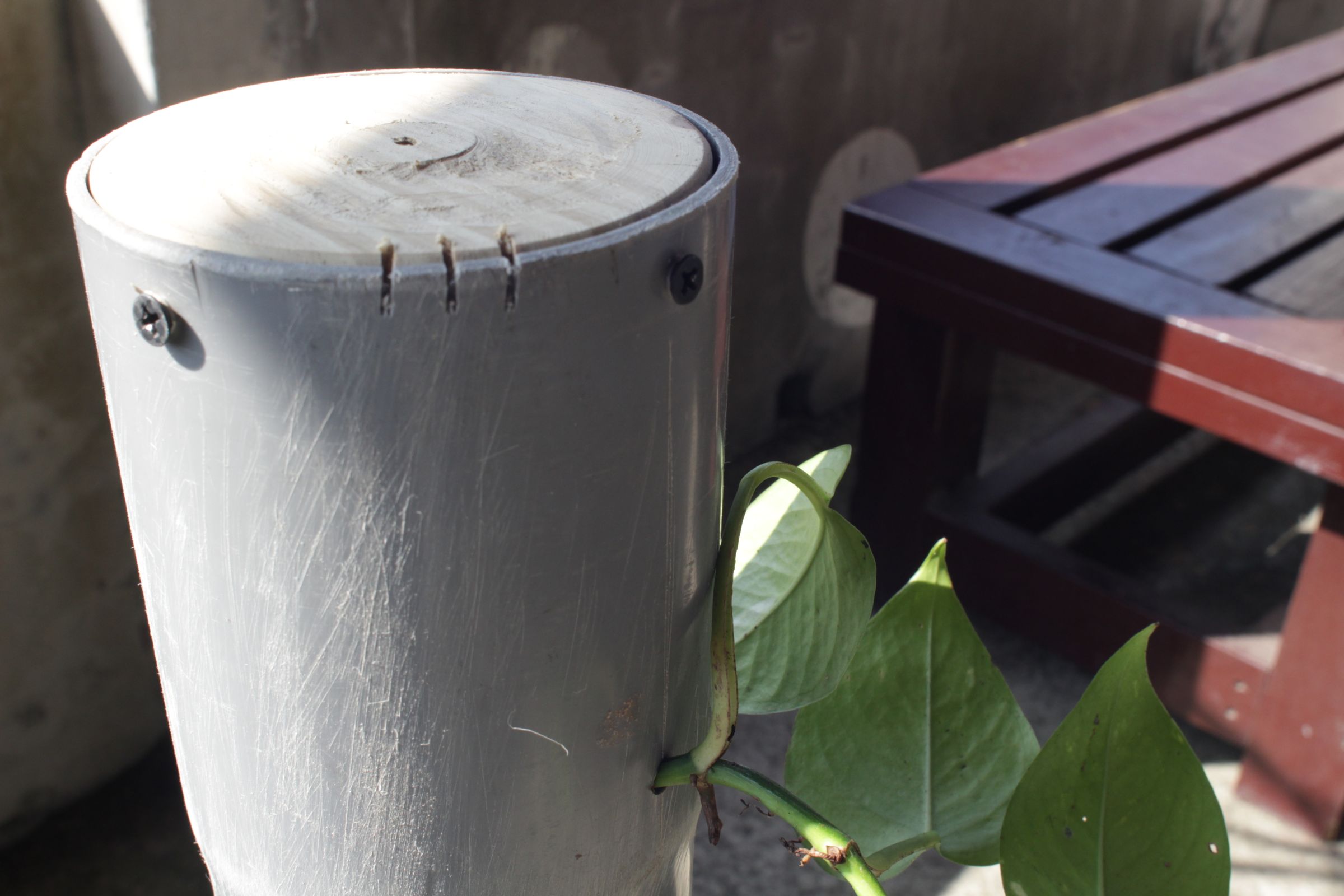 Living Vine Curtains : 9 Steps (with Pictures) - Instructables