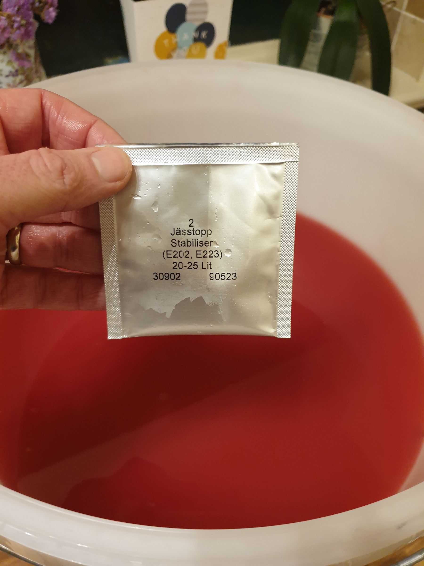 How to Make Your Own Wine From Grapes at Home : 20 Steps (with Pictures ...