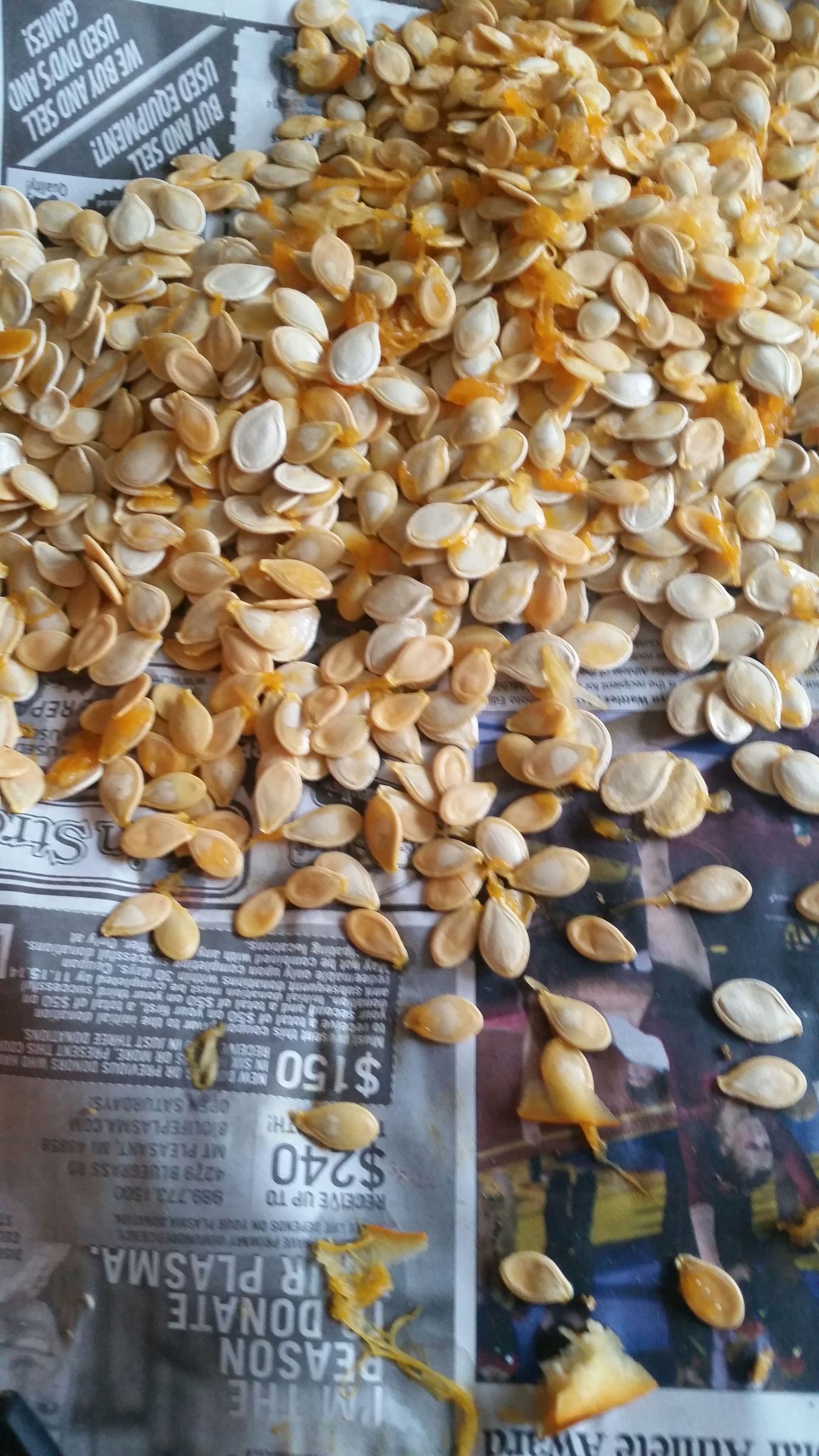 Salted Pumpkin Seeds : 4 Steps (with Pictures) - Instructables