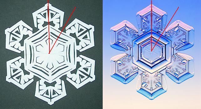 Real Snowflake Patterns