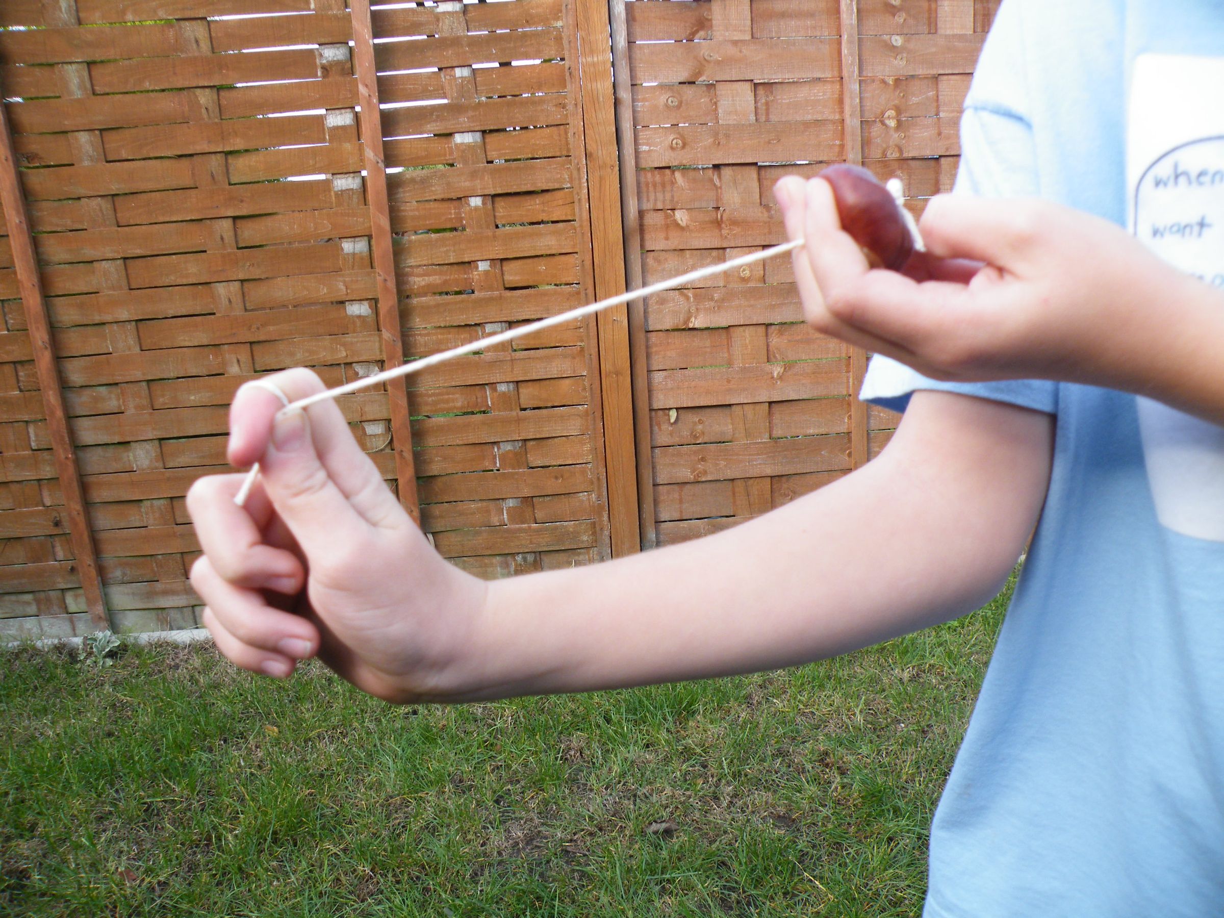 How to Play Conkers. : 7 Steps (with Pictures) - Instructables