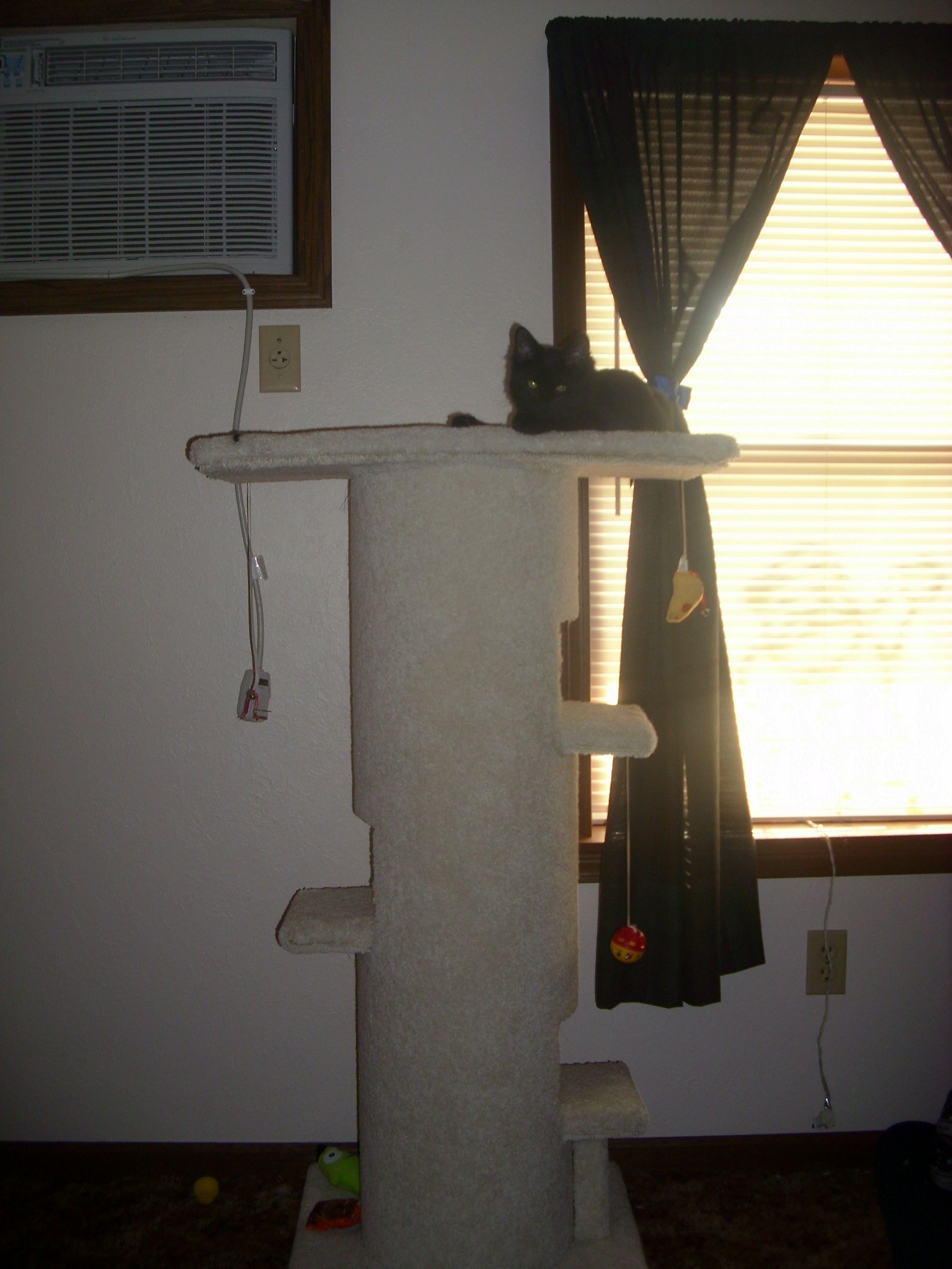 Cat Condo : 8 Steps - Instructables