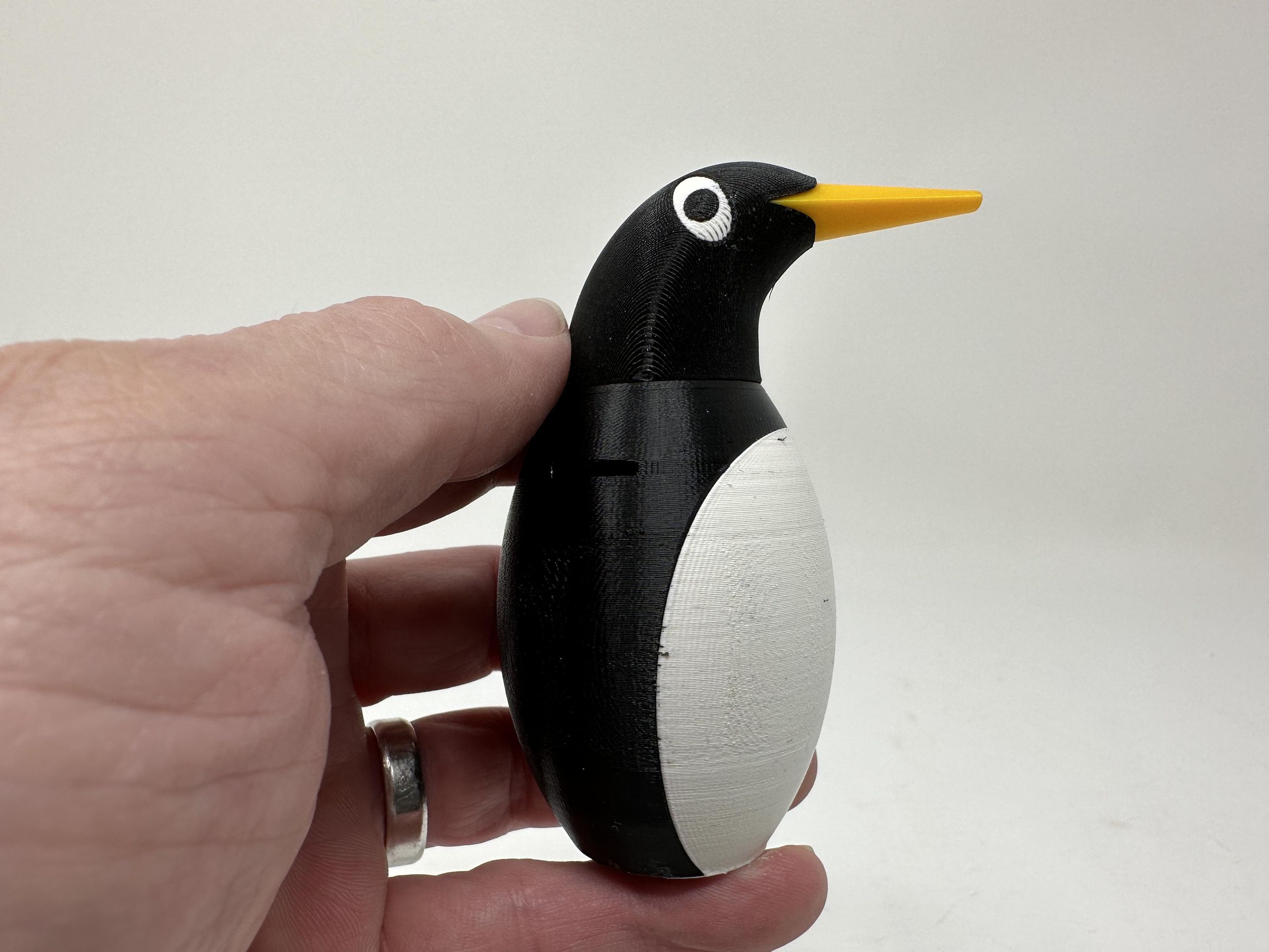 Penguin at the Pole. : 3 Steps (with Pictures) - Instructables
