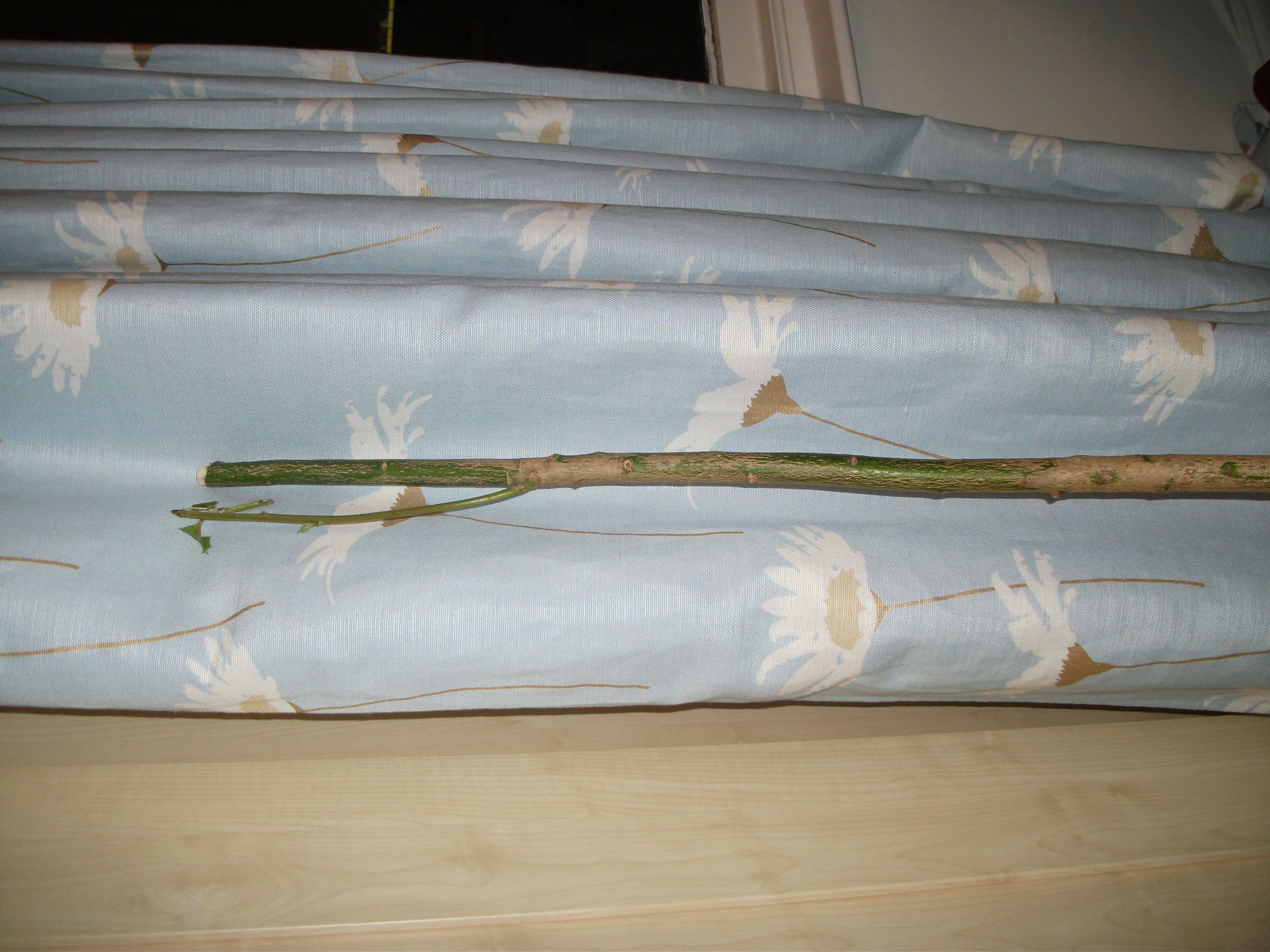 How to Whittle a Staff or a Walking Stick. :2) : 6 Steps - Instructables