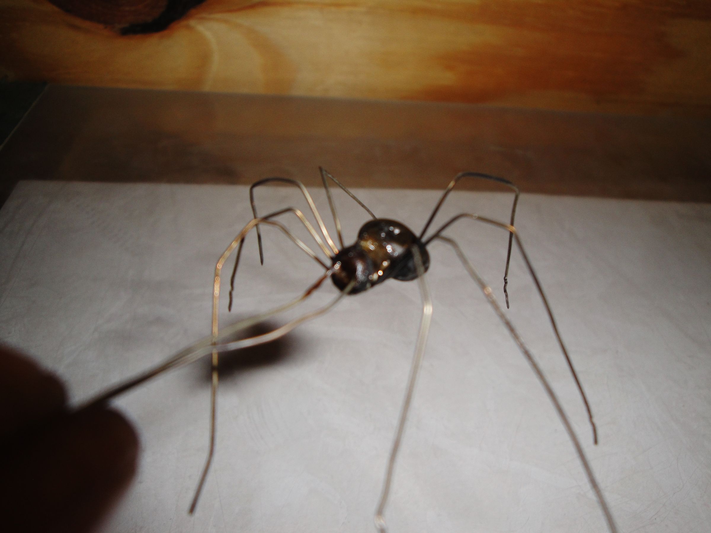 Realistic Spider (Life-Size Prop) : 7 Steps (with Pictures) - Instructables