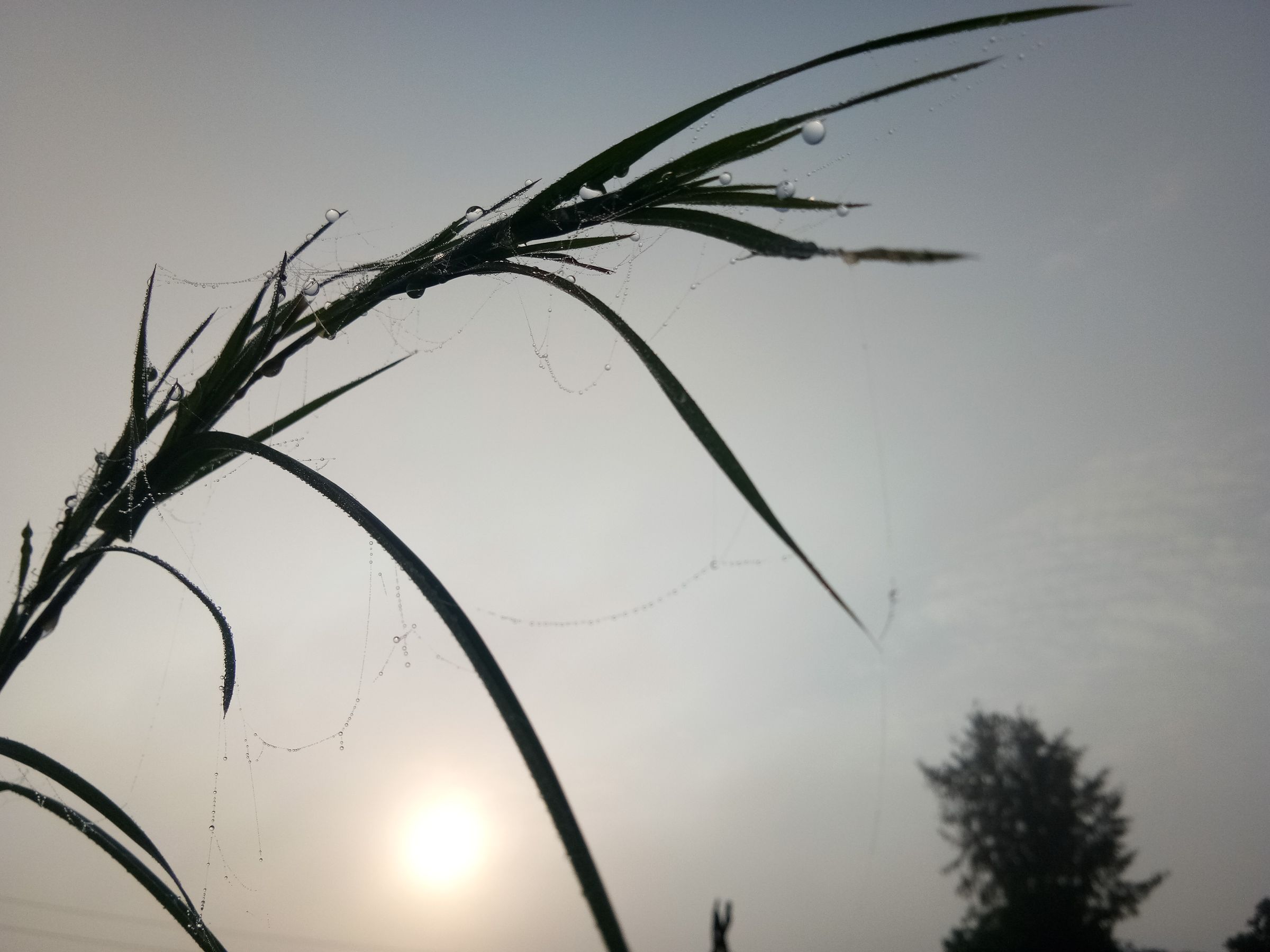 Clinometer Project : 8 Steps (with Pictures) - Instructables