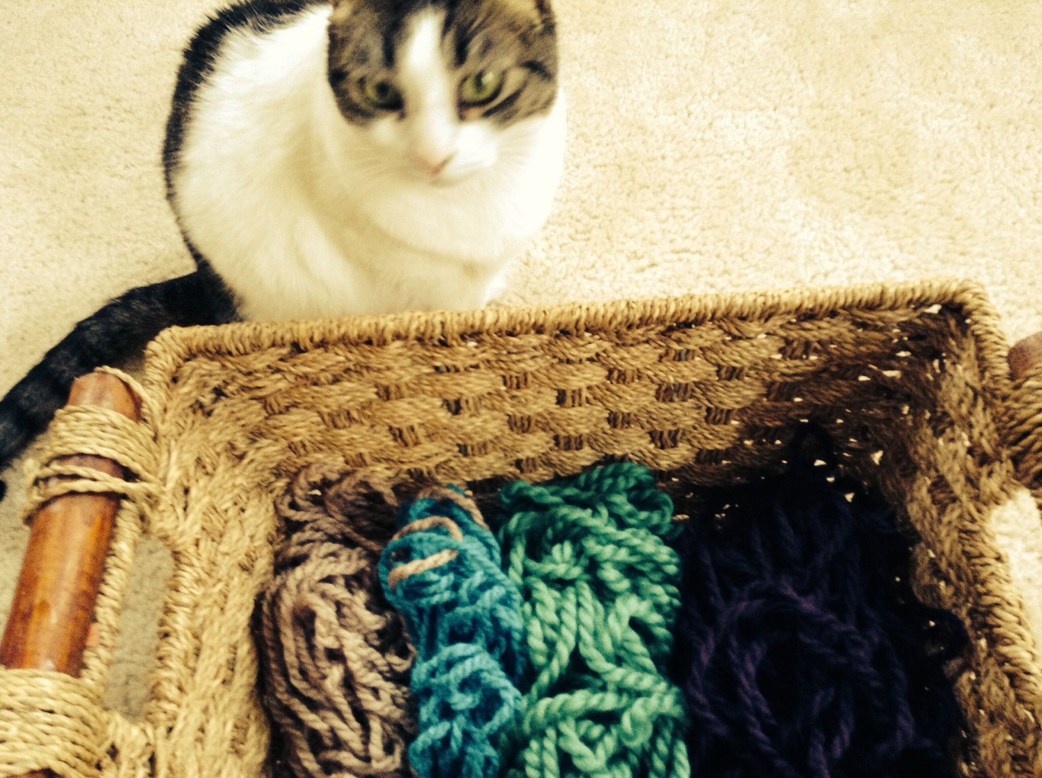 Diy Wolf Tail : 10 Steps - Instructables