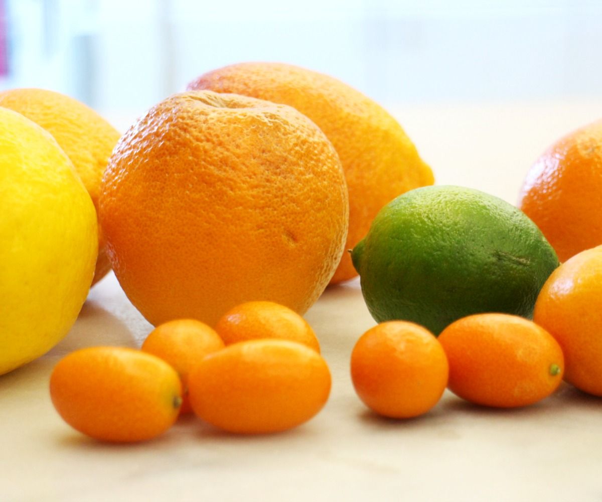 Make Citrus Powder : 9 Steps (with Pictures) - Instructables