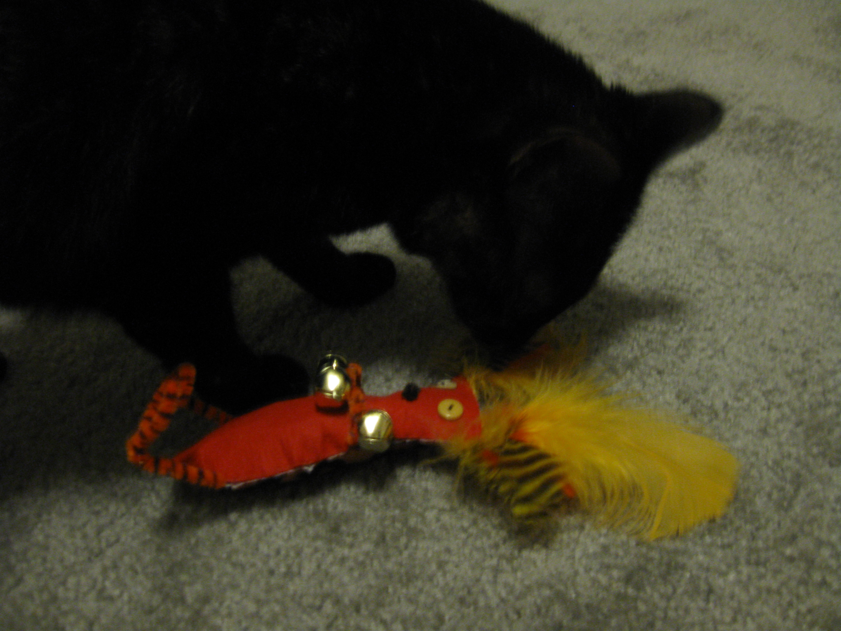 Custom-Made Catnip Cat Toy : 6 Steps - Instructables
