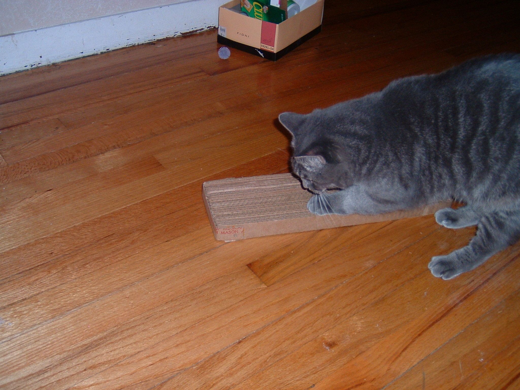 Make a FREE CAT SCRATCHING BOARD - Instructables