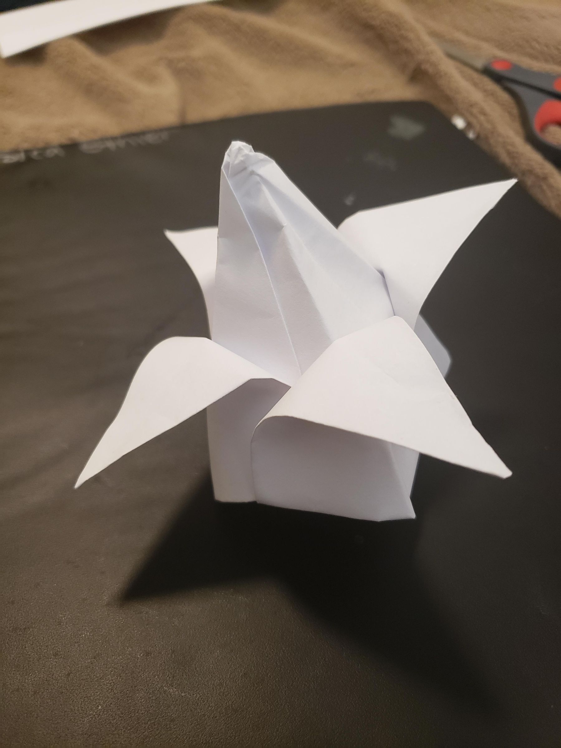 Folding an Origami Flower : 10 Steps - Instructables