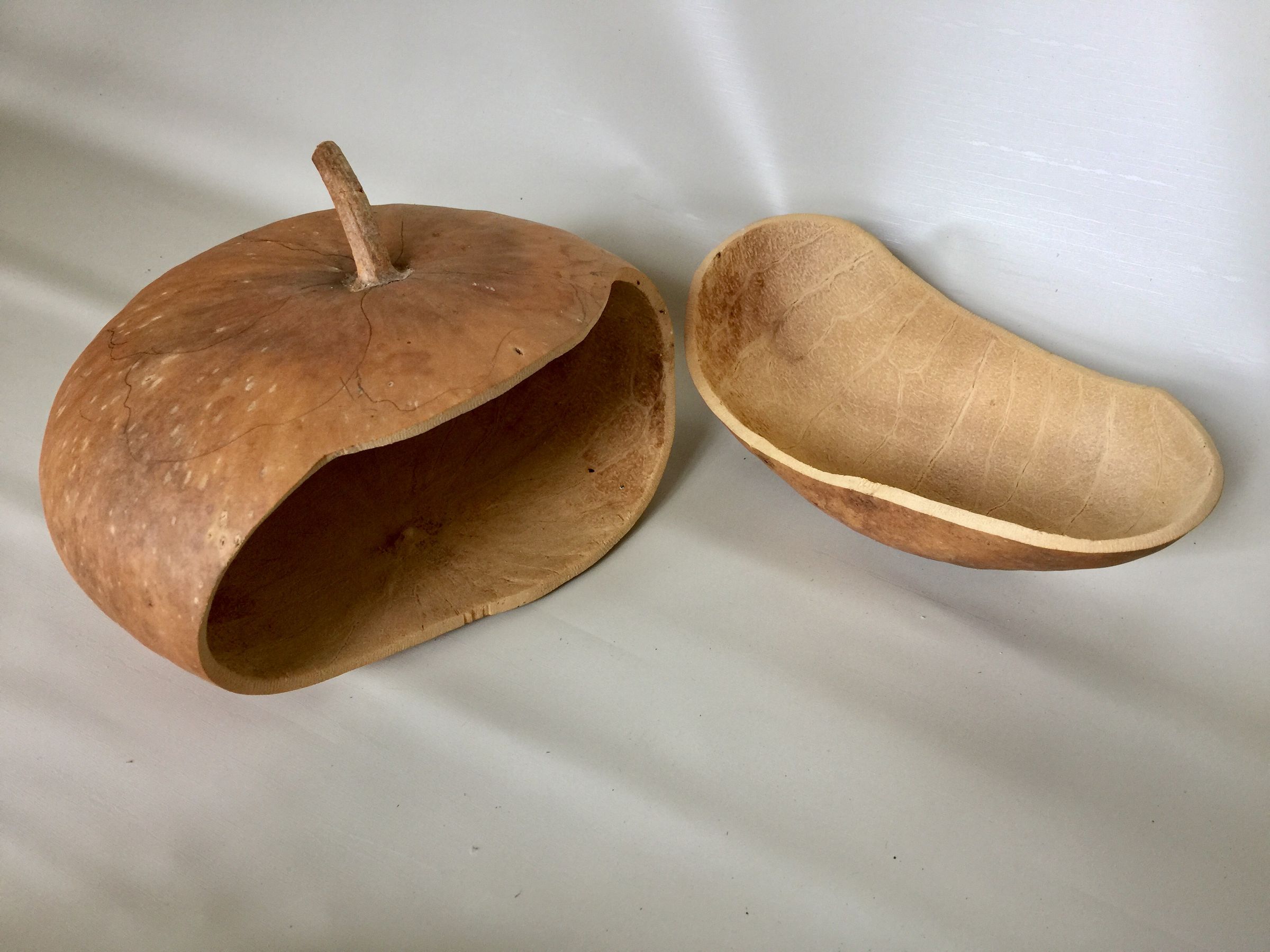 Gourd Bag : 5 Steps (with Pictures) - Instructables