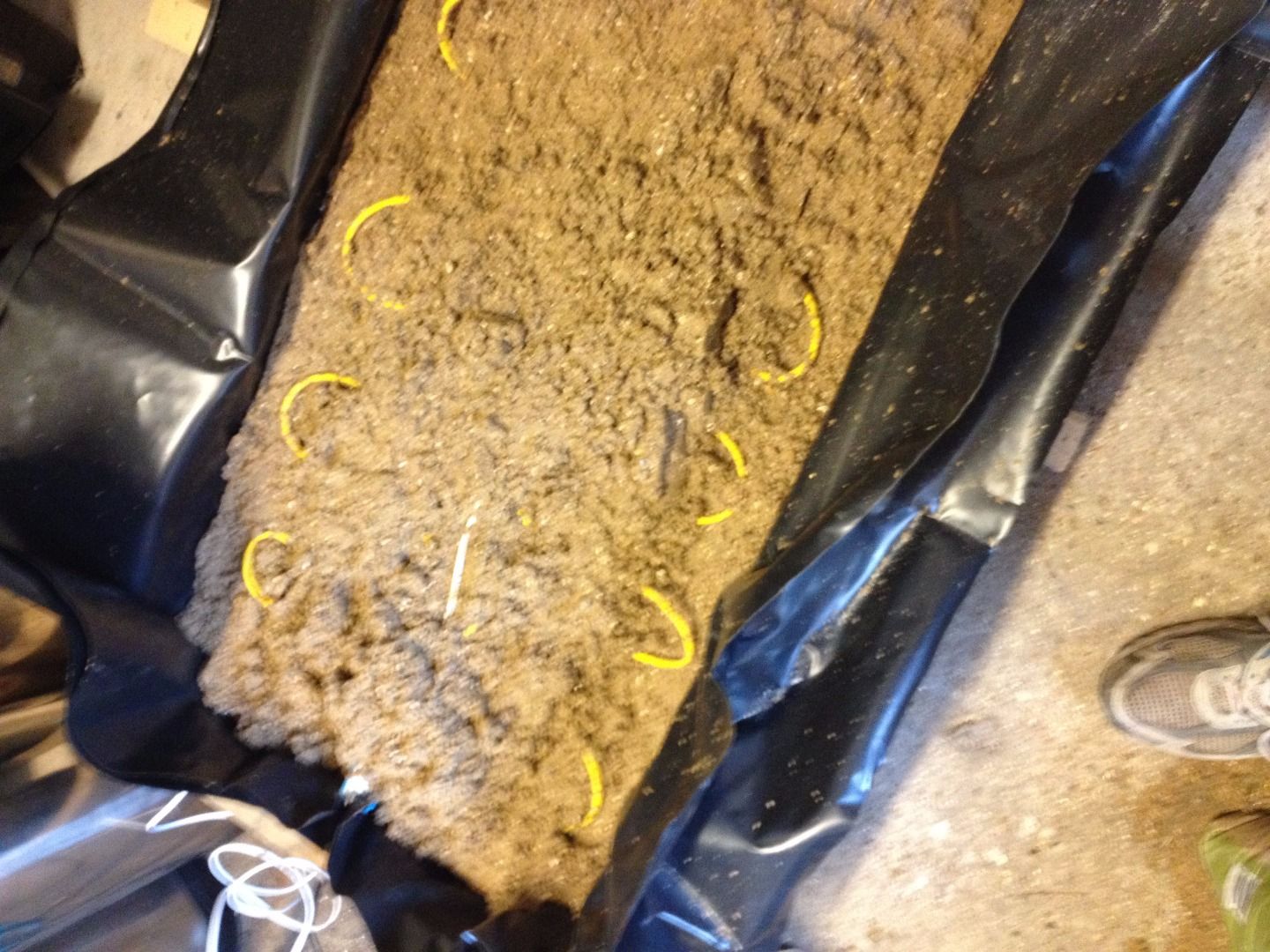 Heated Propagator : 8 Steps (with Pictures) - Instructables